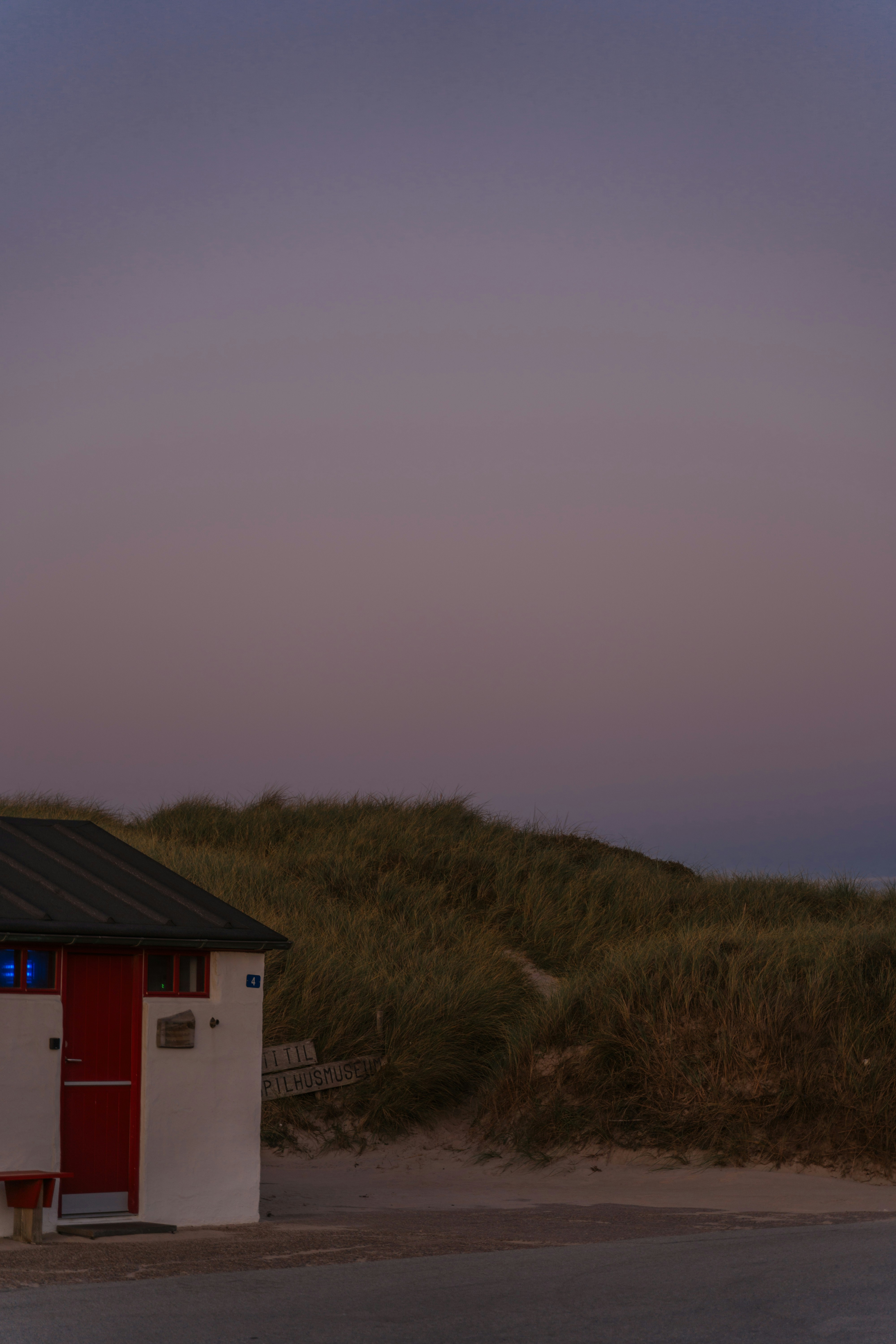 Photo by Kirsten Frank with Sony Alpha 7 III