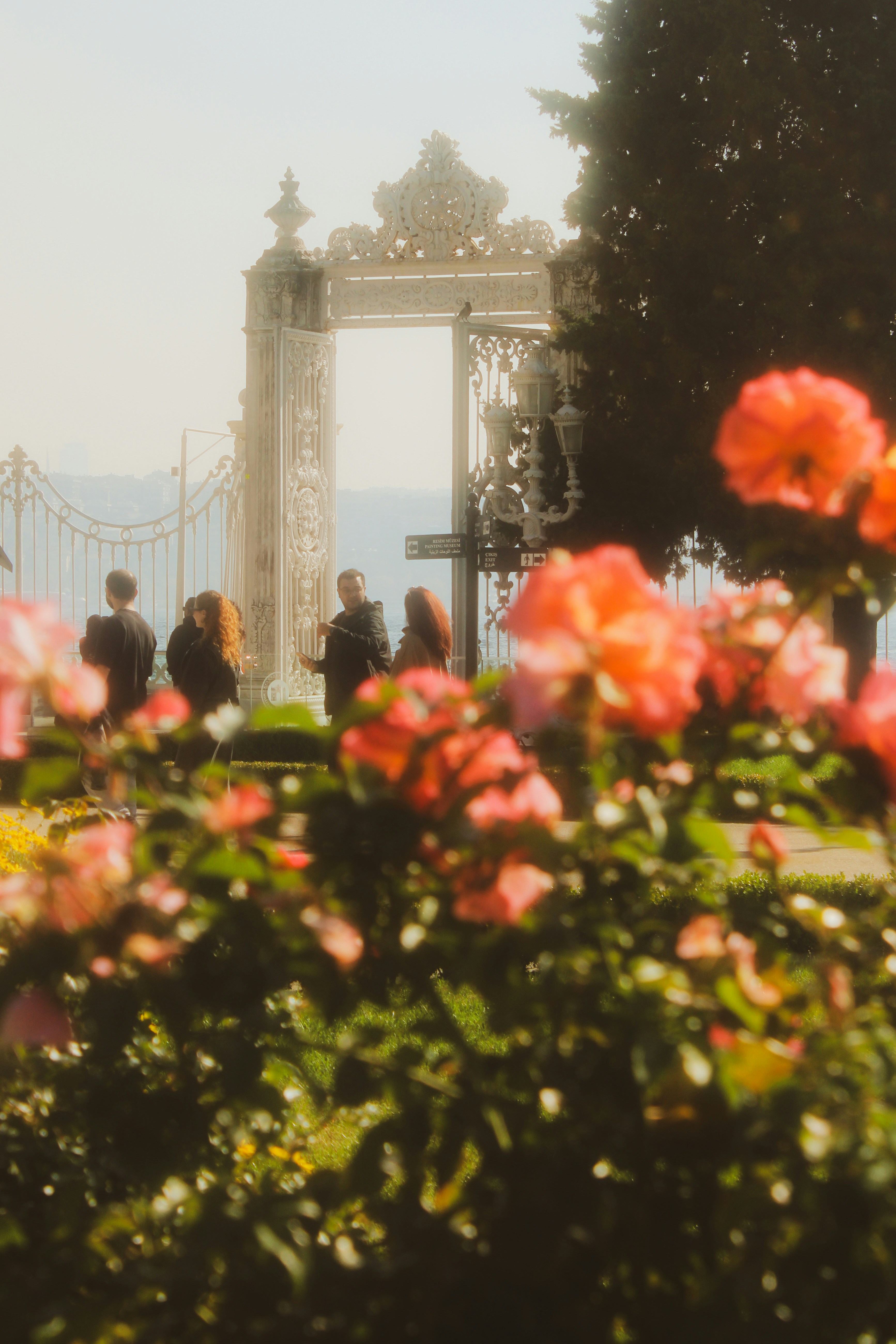 Photo by Esvat Jafarli with Canon EOS 2000D