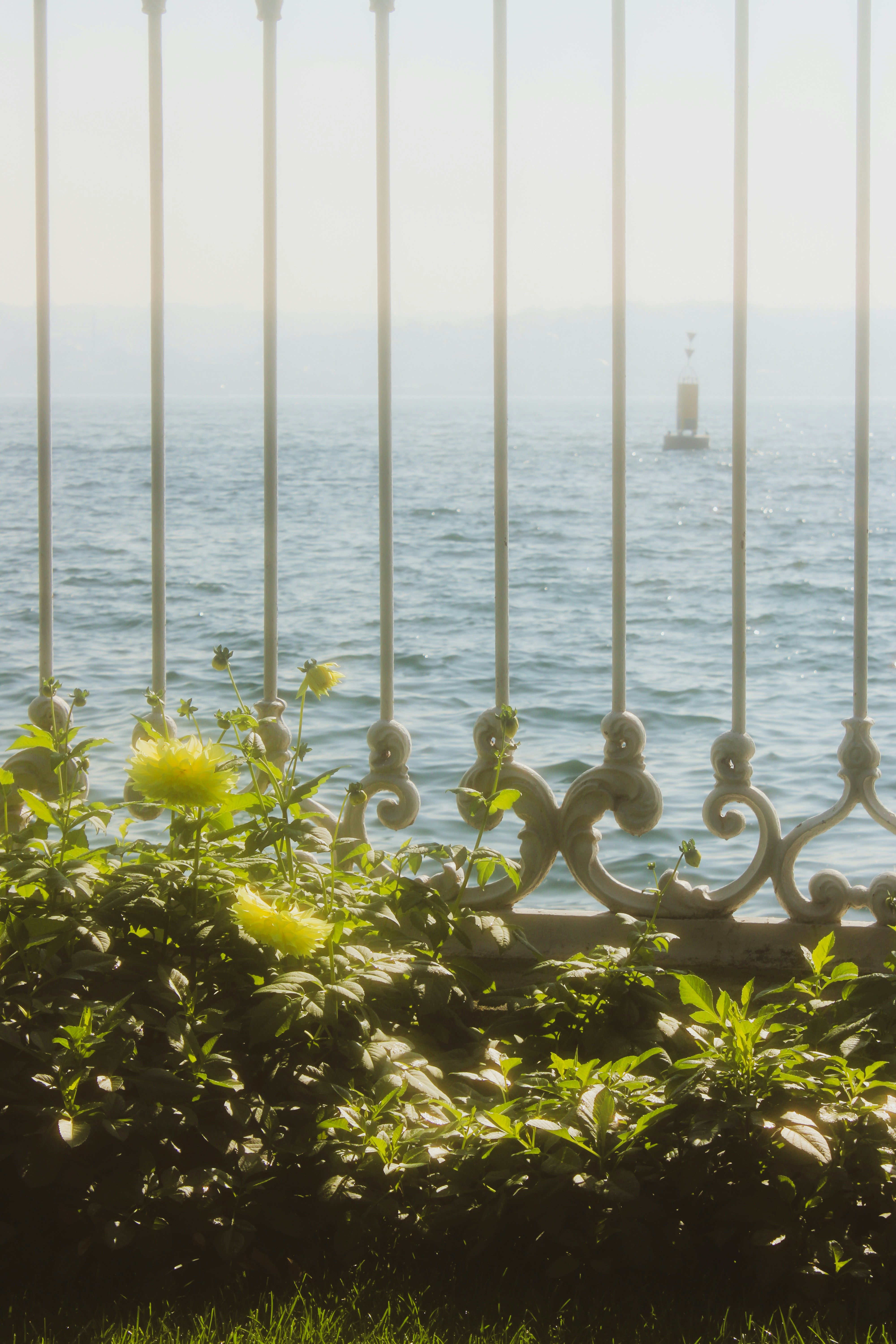 Photo by Esvat Jafarli with Canon EOS 2000D