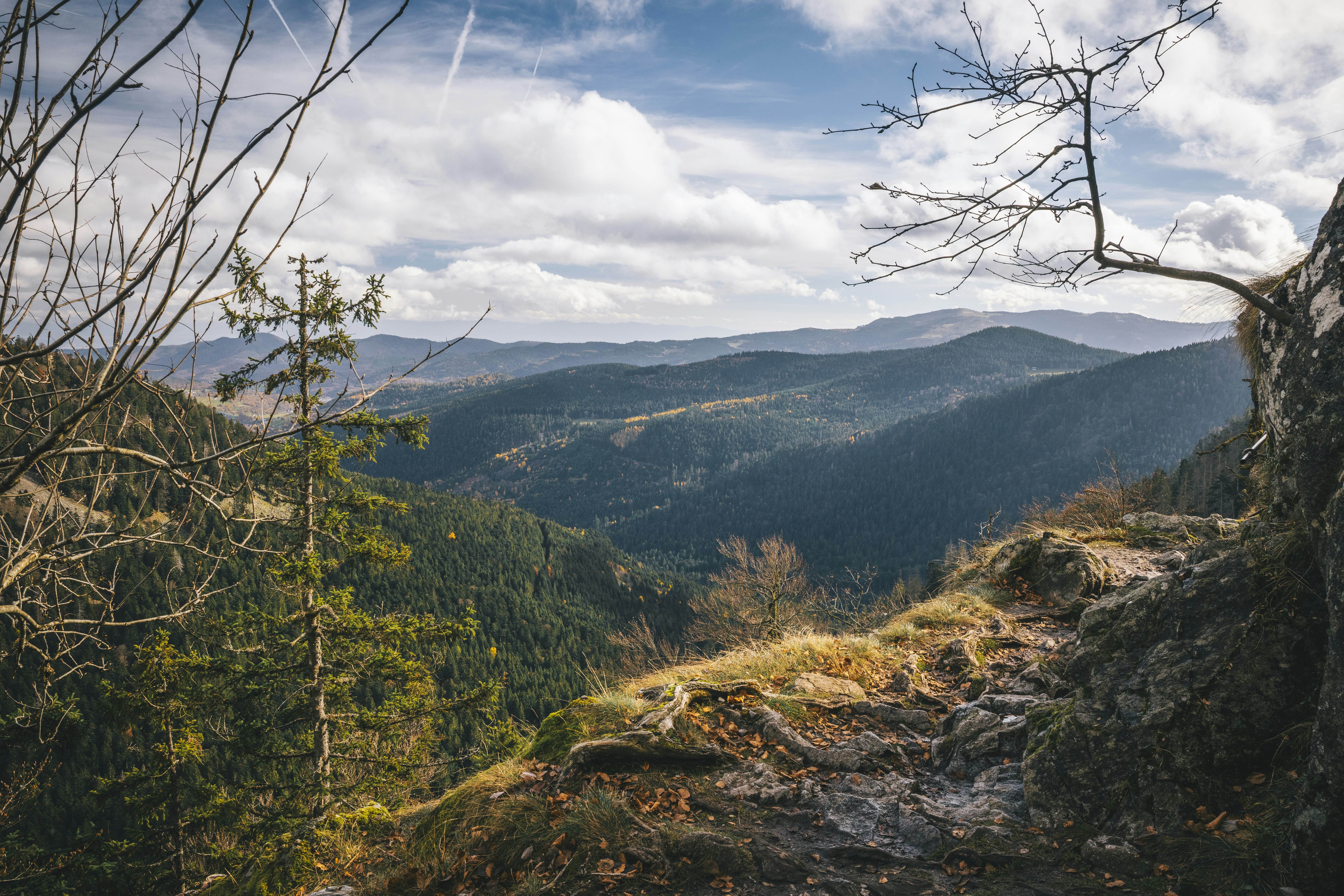 Massif des Vosges - Automne 2025