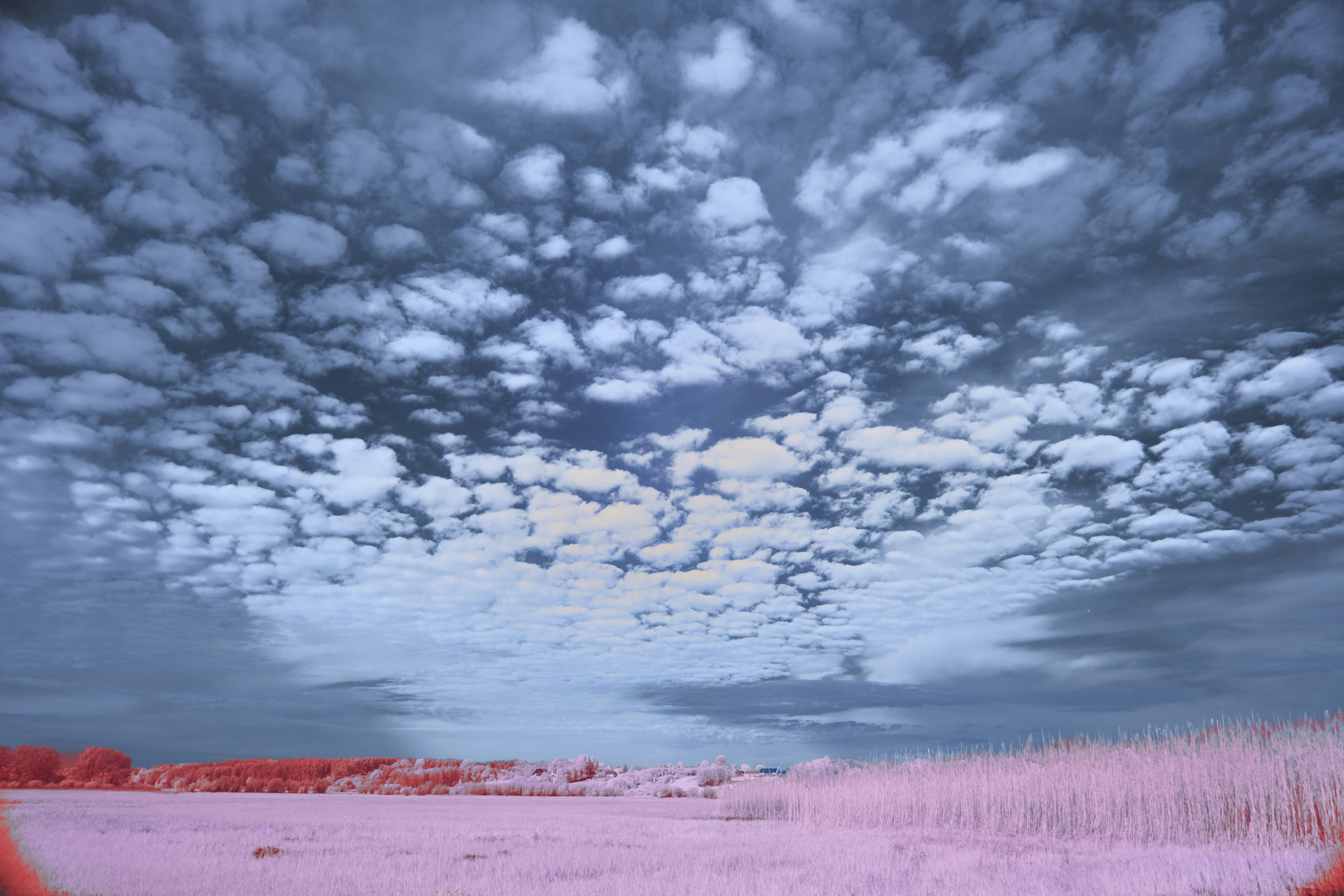 Photo by Wolfgang Hasselmann with Sony Alpha 7 IV