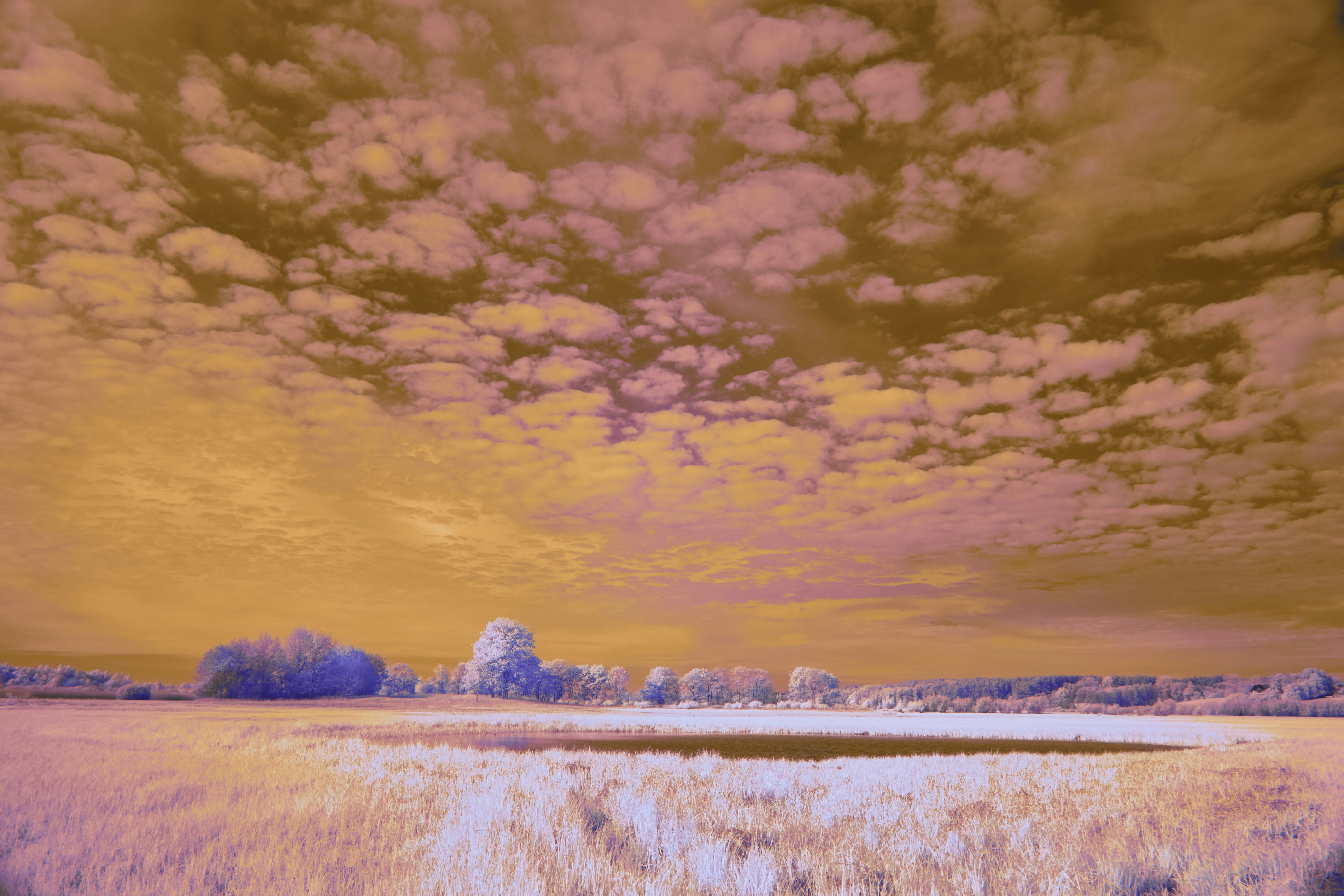 Photo by Wolfgang Hasselmann with Sony Alpha 7 IV