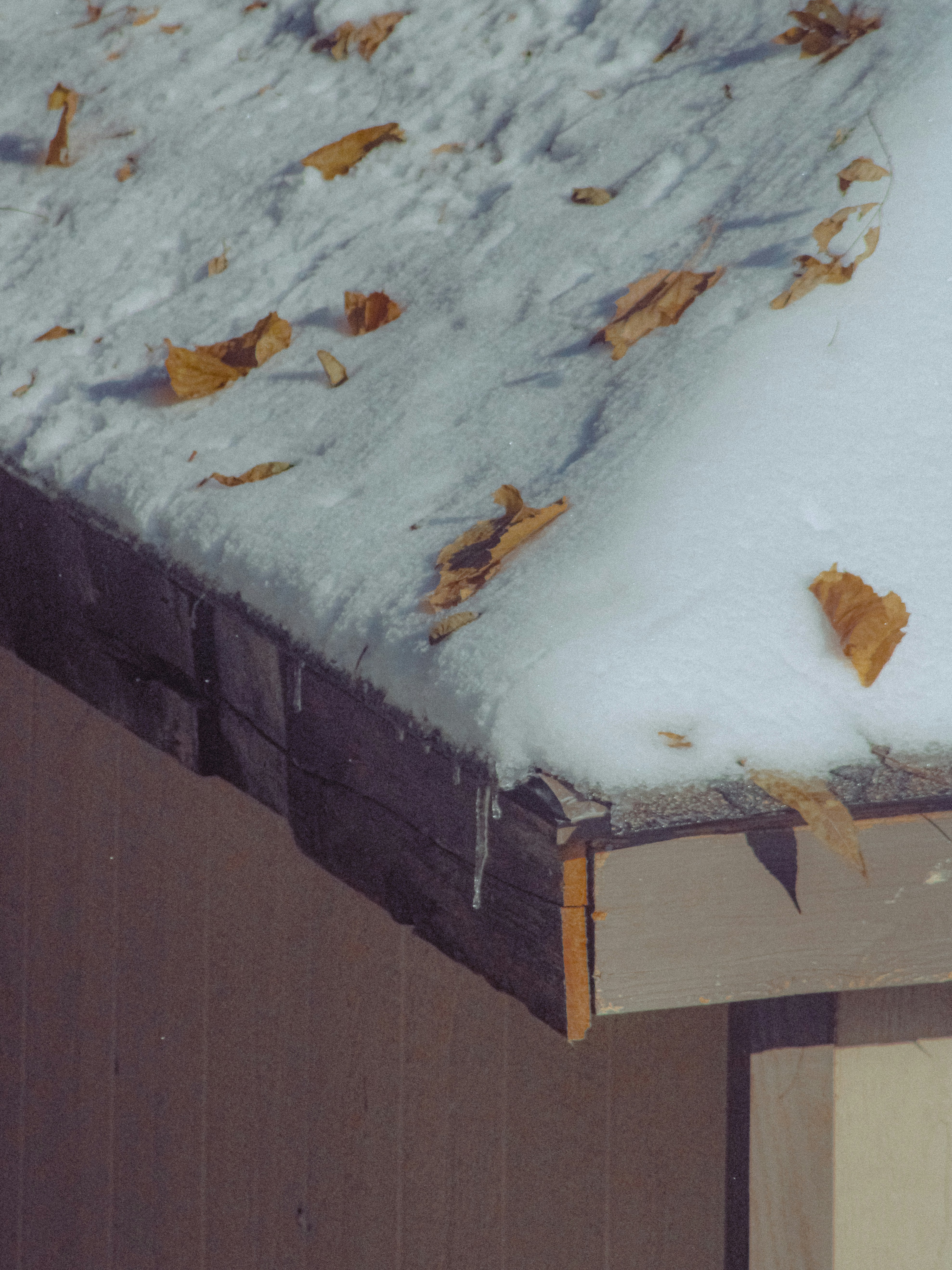 Winter's Edge: Amber Leaves on a Snow-Dusted Roof