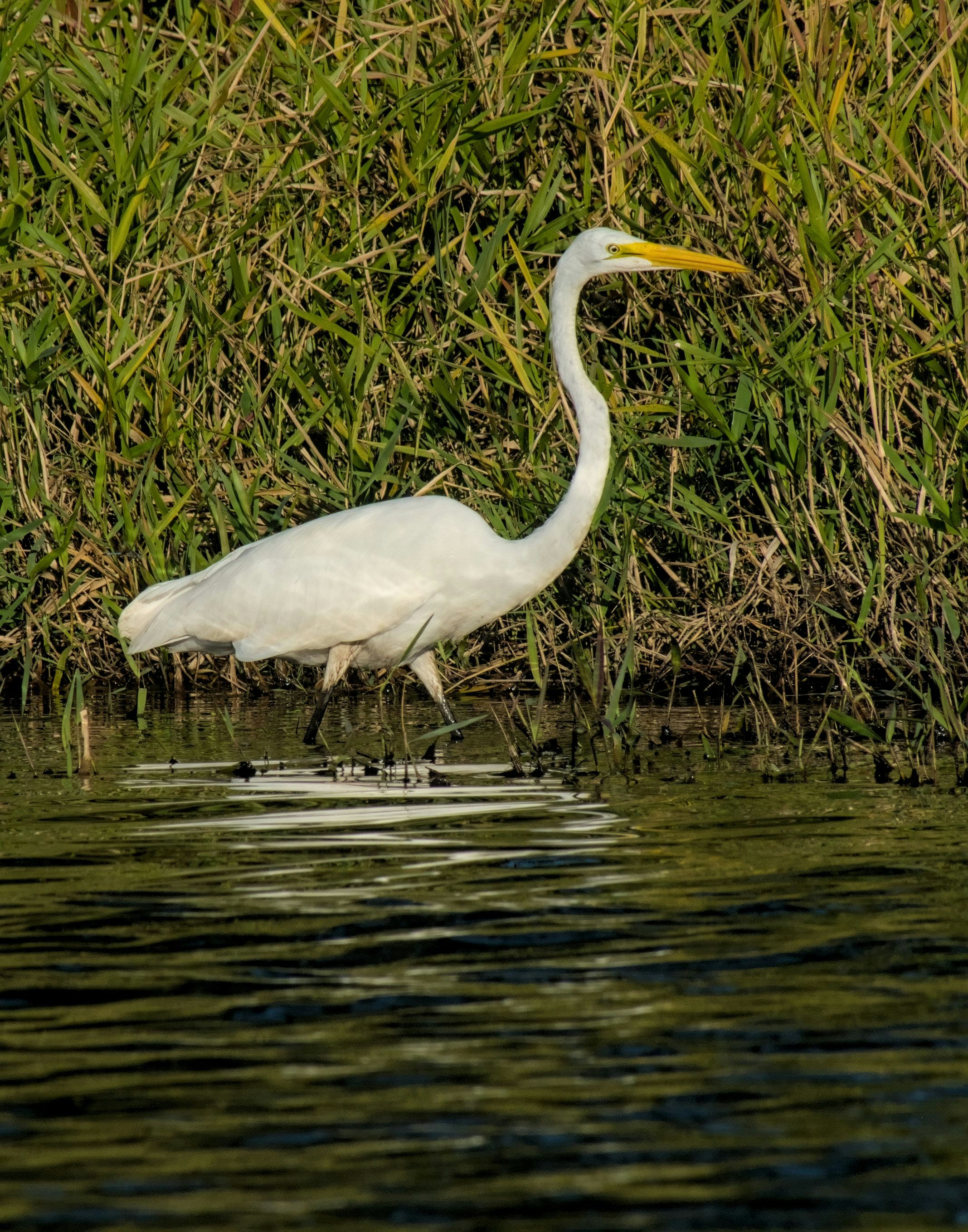 Random Thinking (@randomthinking) | Unsplashフォトコミュニティ