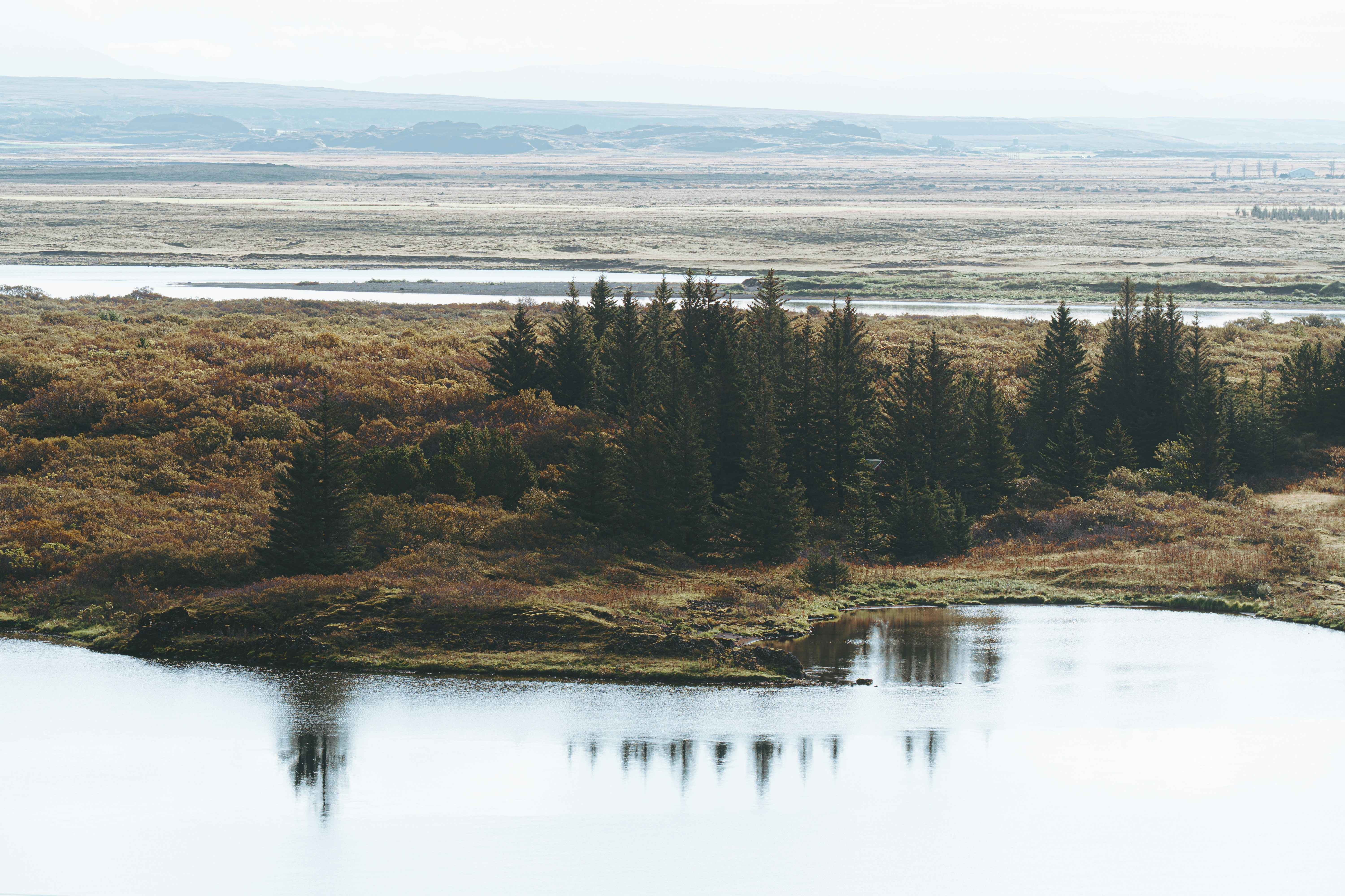 Photo by Ben Kim with Sony Alpha 7 III