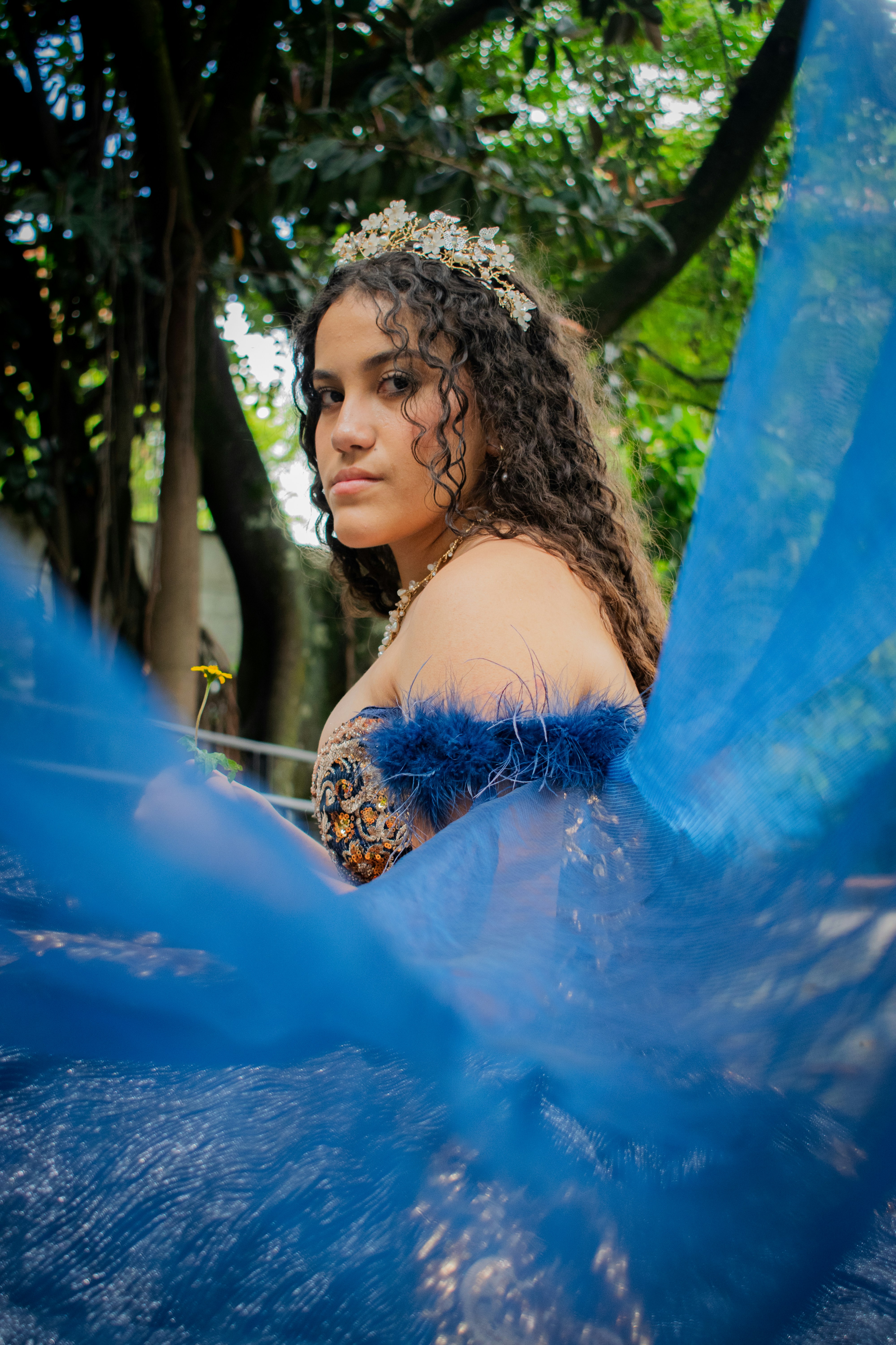 Grove Portrait: A Regal Gaze Beneath a Blue Veil