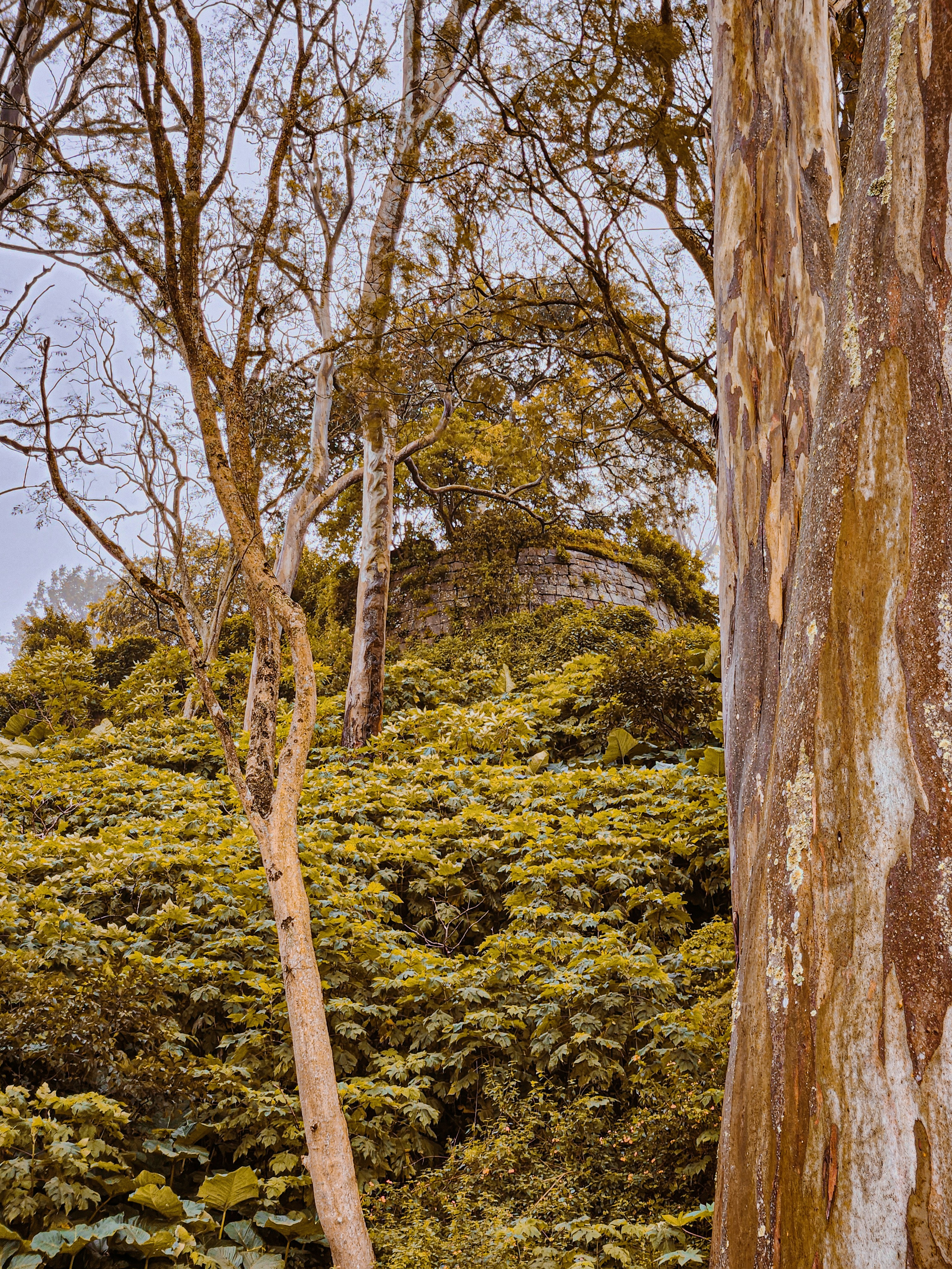 Photo by Muhammed Faizan Hussain with Samsung Galaxy S22