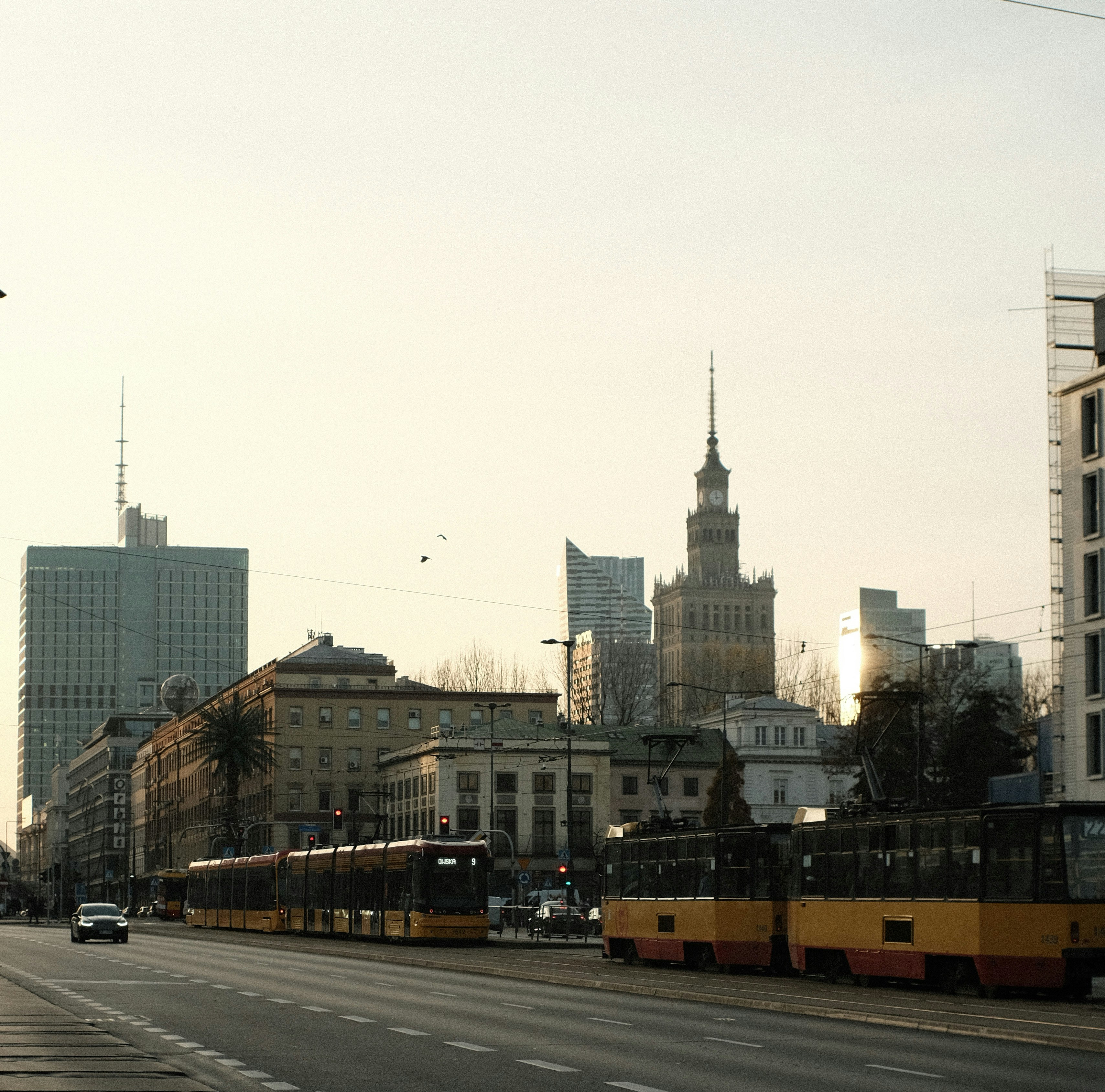 Trams Along a Sunlit Boulevard Beneath a Clock-Tower Skyline