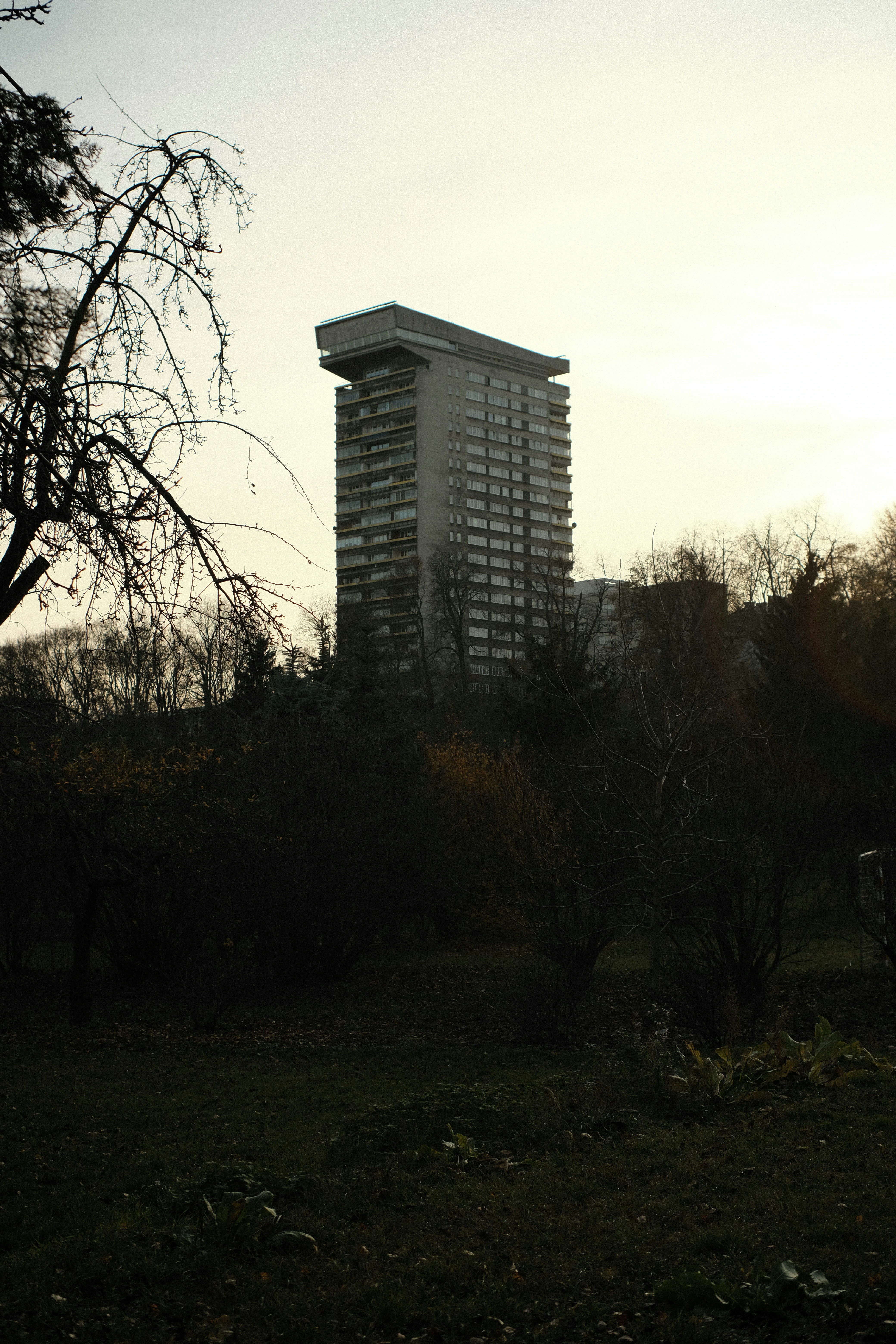 Photo by Aliaksei Lepik with Fujifilm X-S10