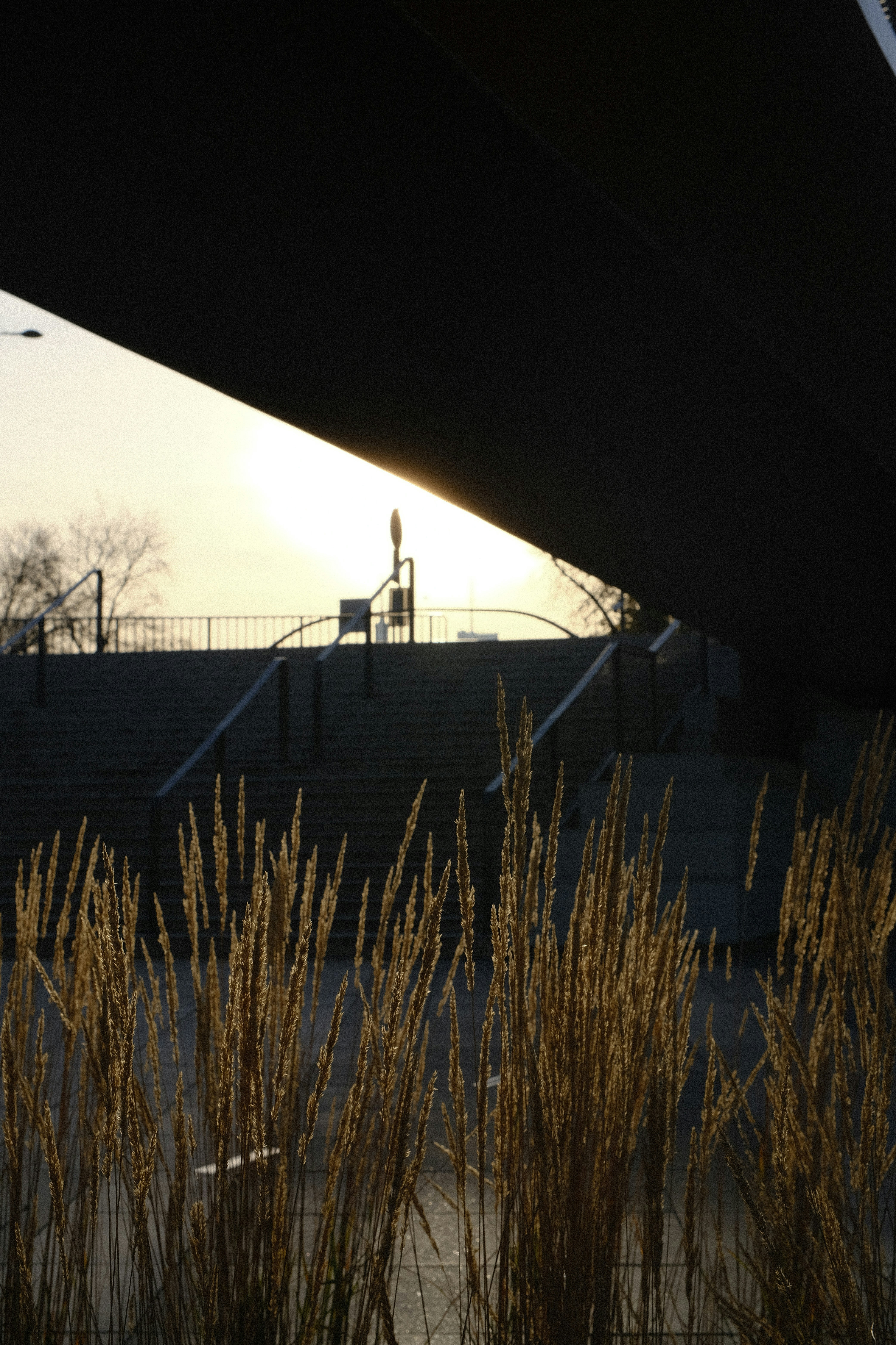 Sunlit Grasses Under the Overpass: A Quiet Dusk Composition with Staircase Silhouette