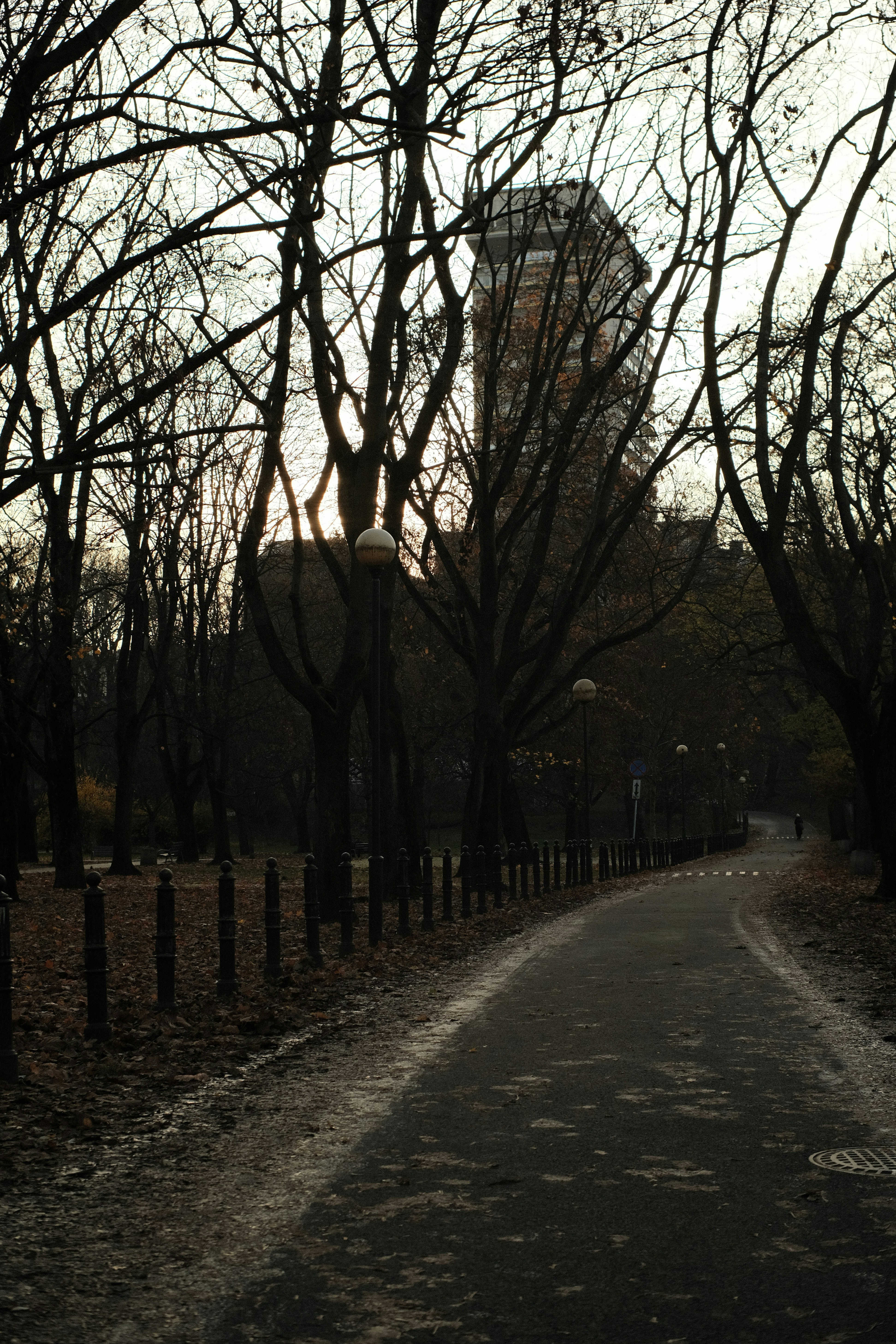 Twilight Path Through Leafless Arches Toward a Distant Tower