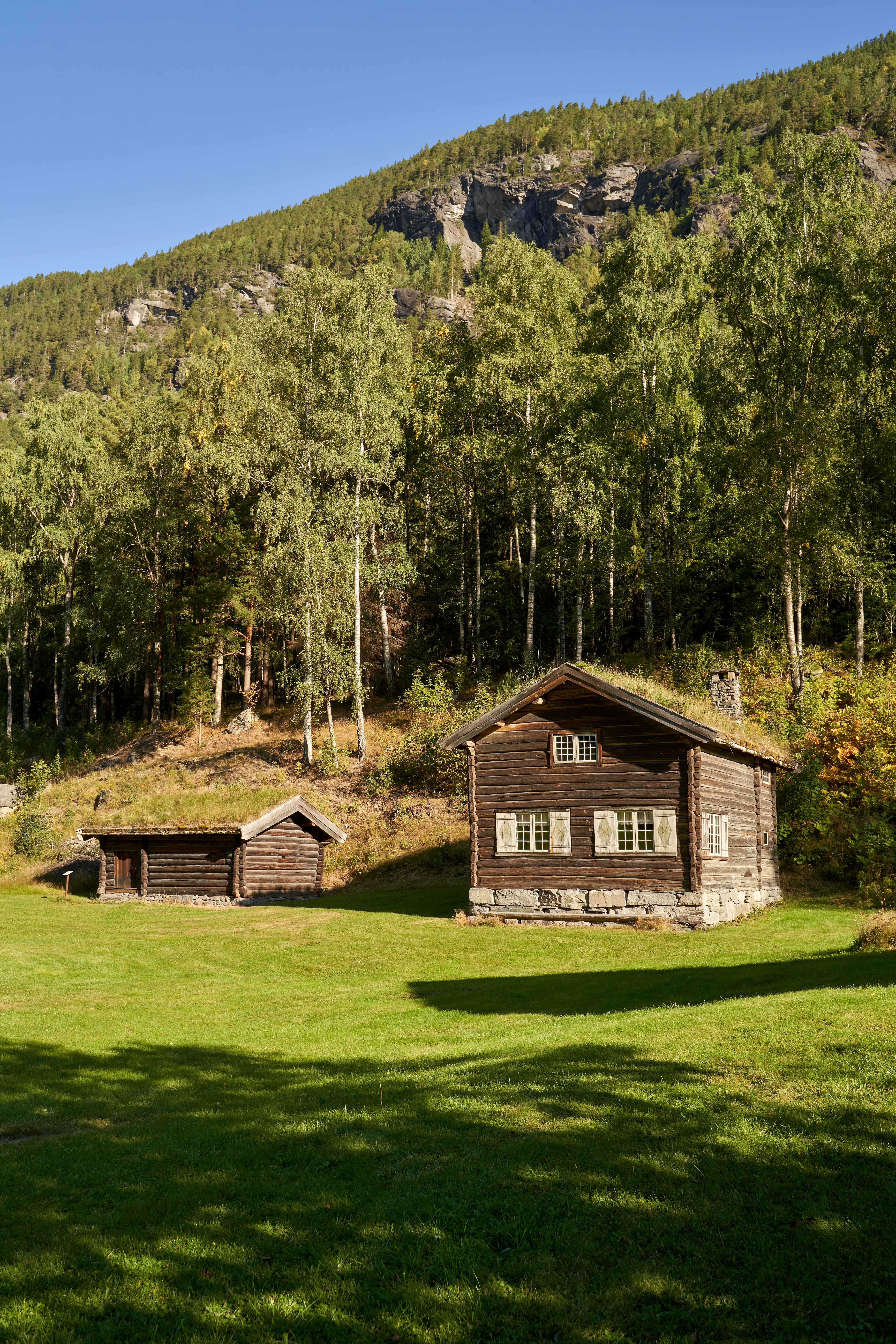 Sunlit Cedar Cabins Nestled at the Forest Edge