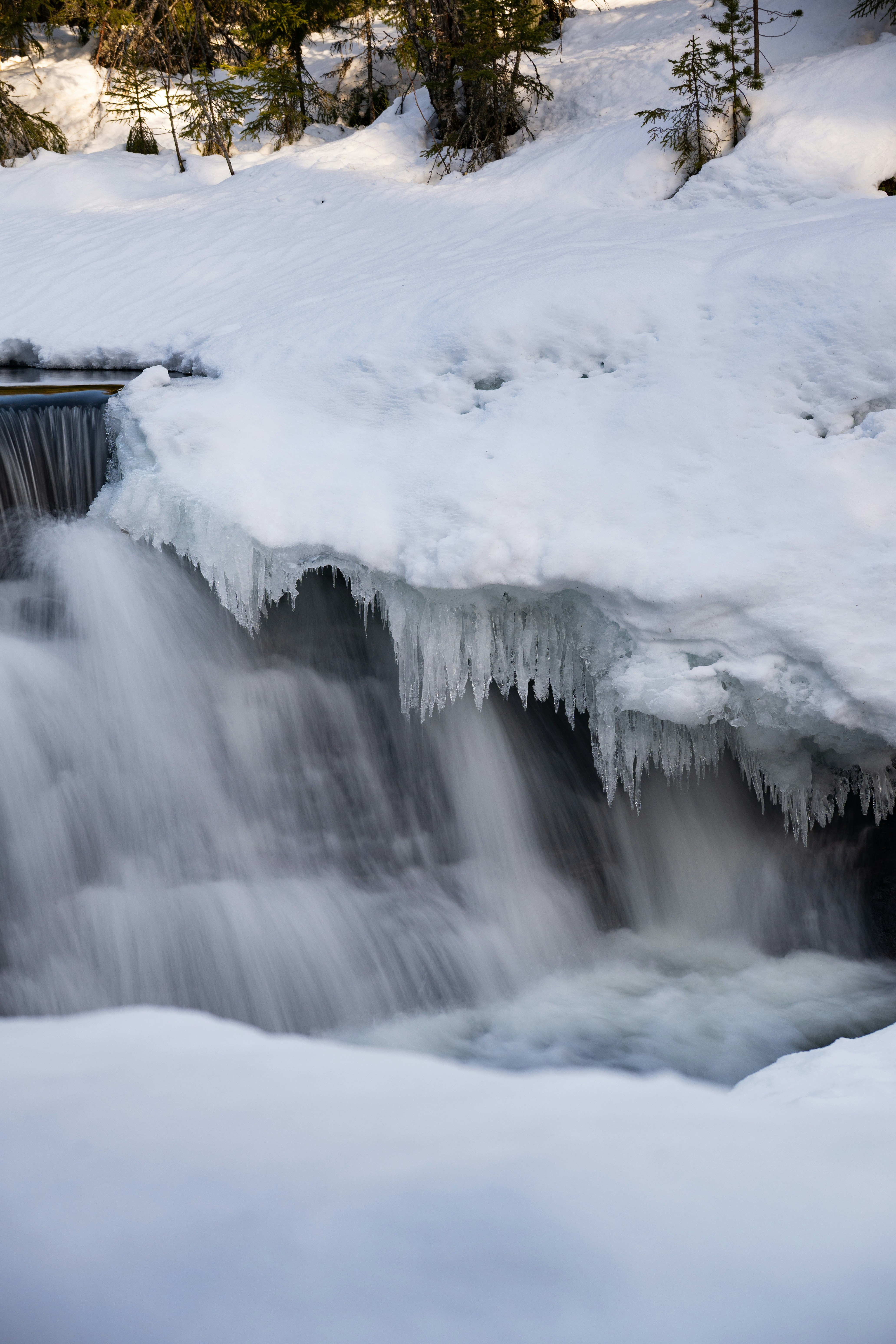Icicle Curtain over a Snowbound Cascade
