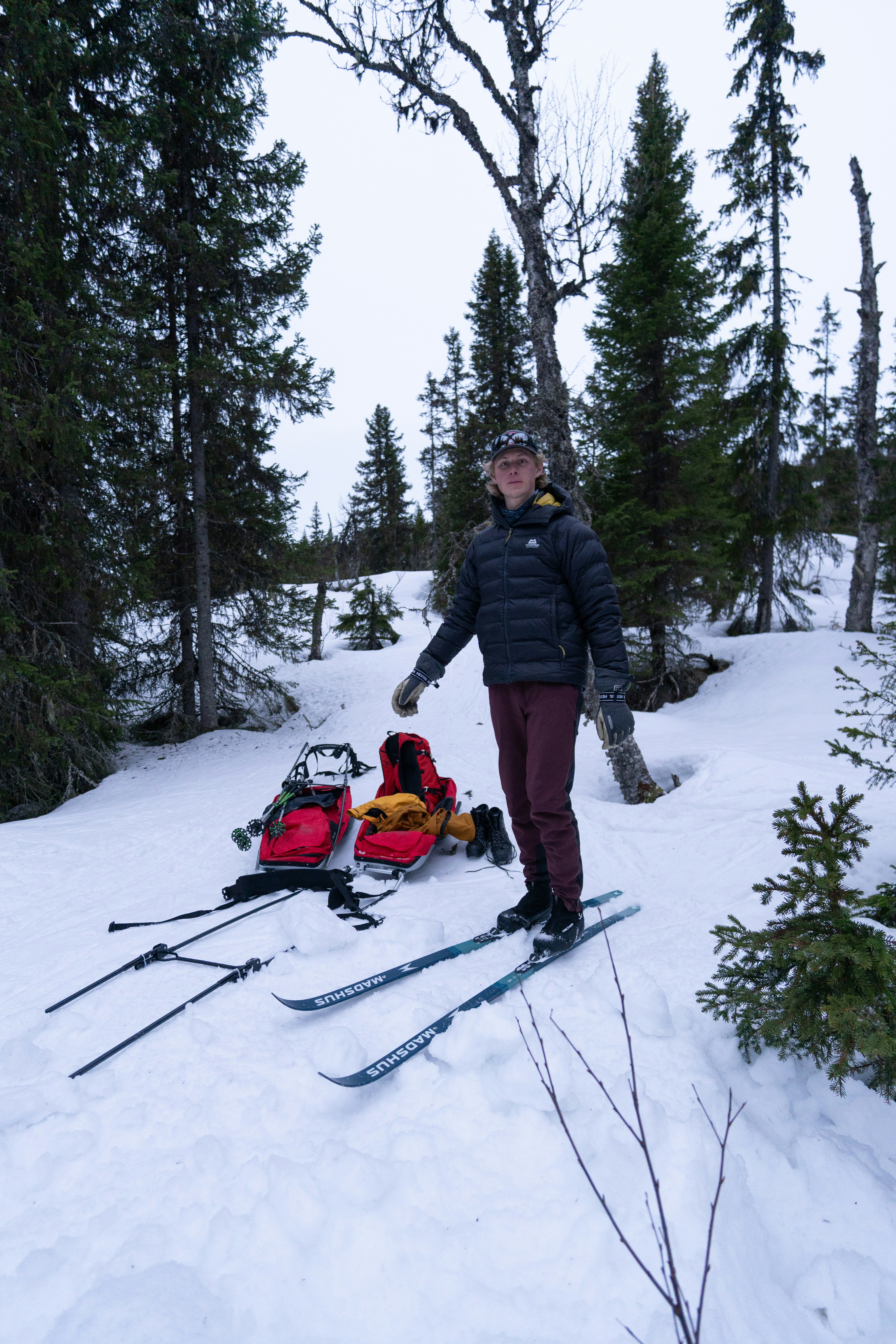 Silent Pines, Ready for First Tracks: A Solo Skier Among Snow-Covered Gear