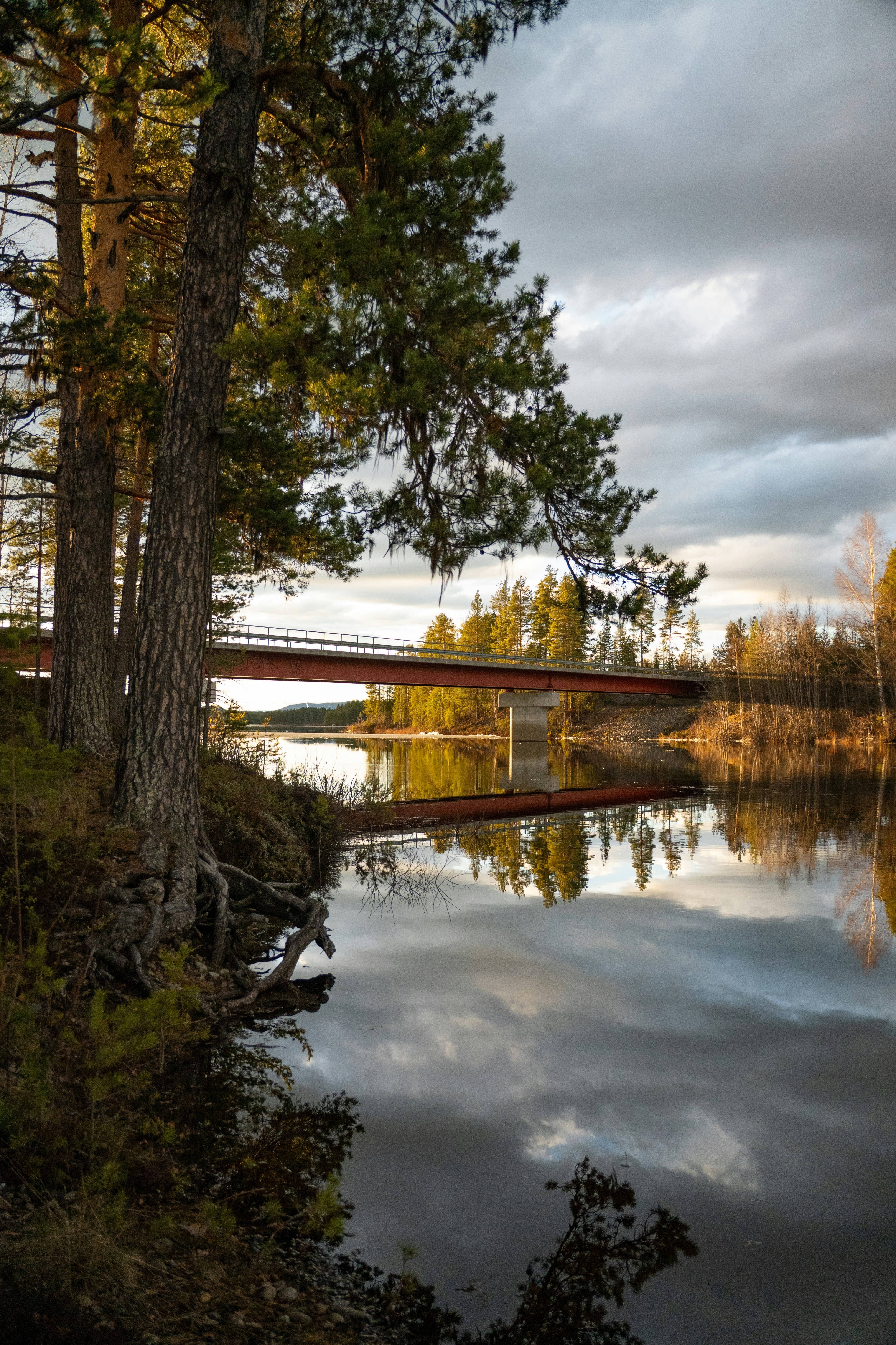 Arc of Steel and Sky: A Serene Lakeside Bridge Framed by Pines