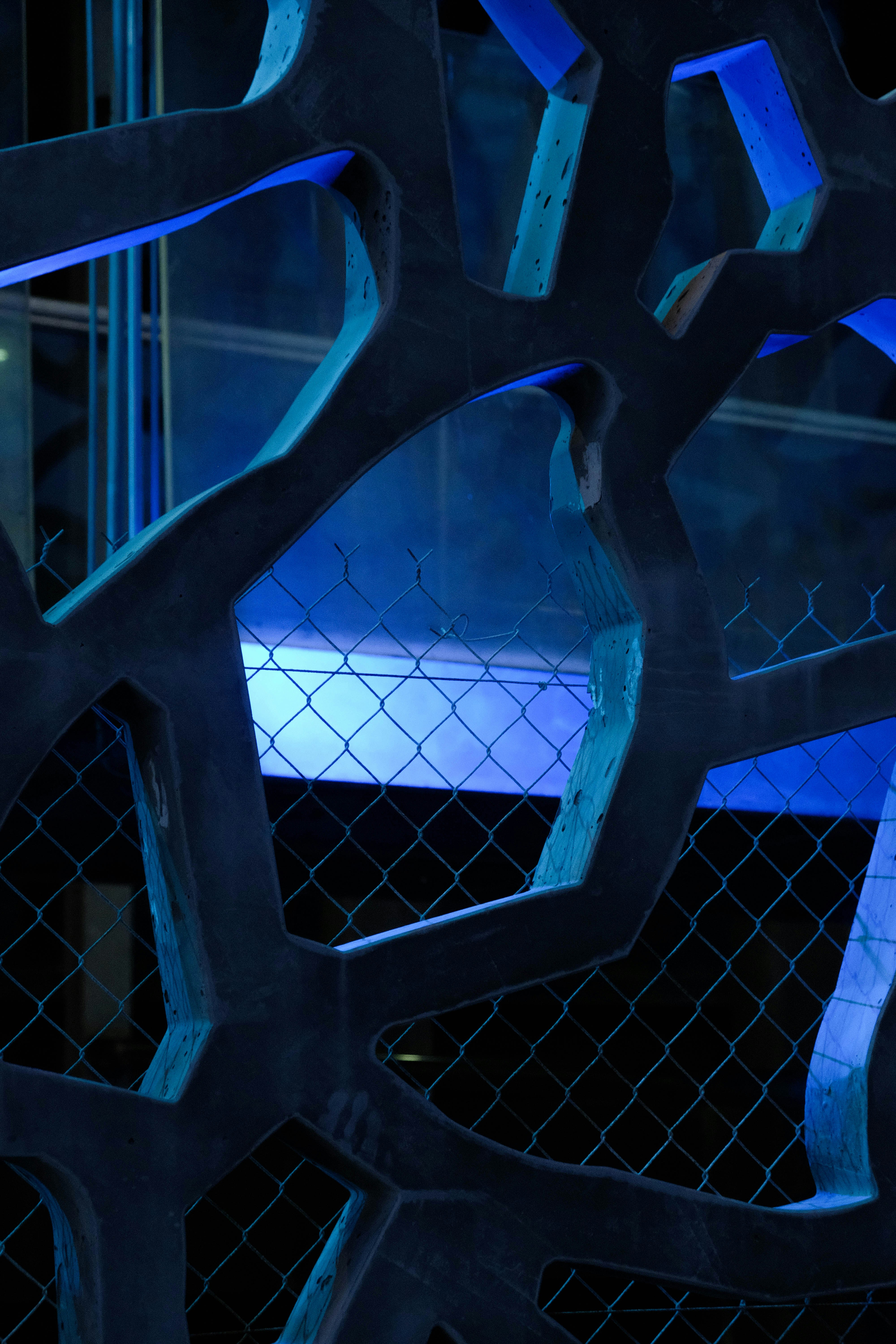 Blue Hex: A Neon-Lattice Framed by Wire Mesh