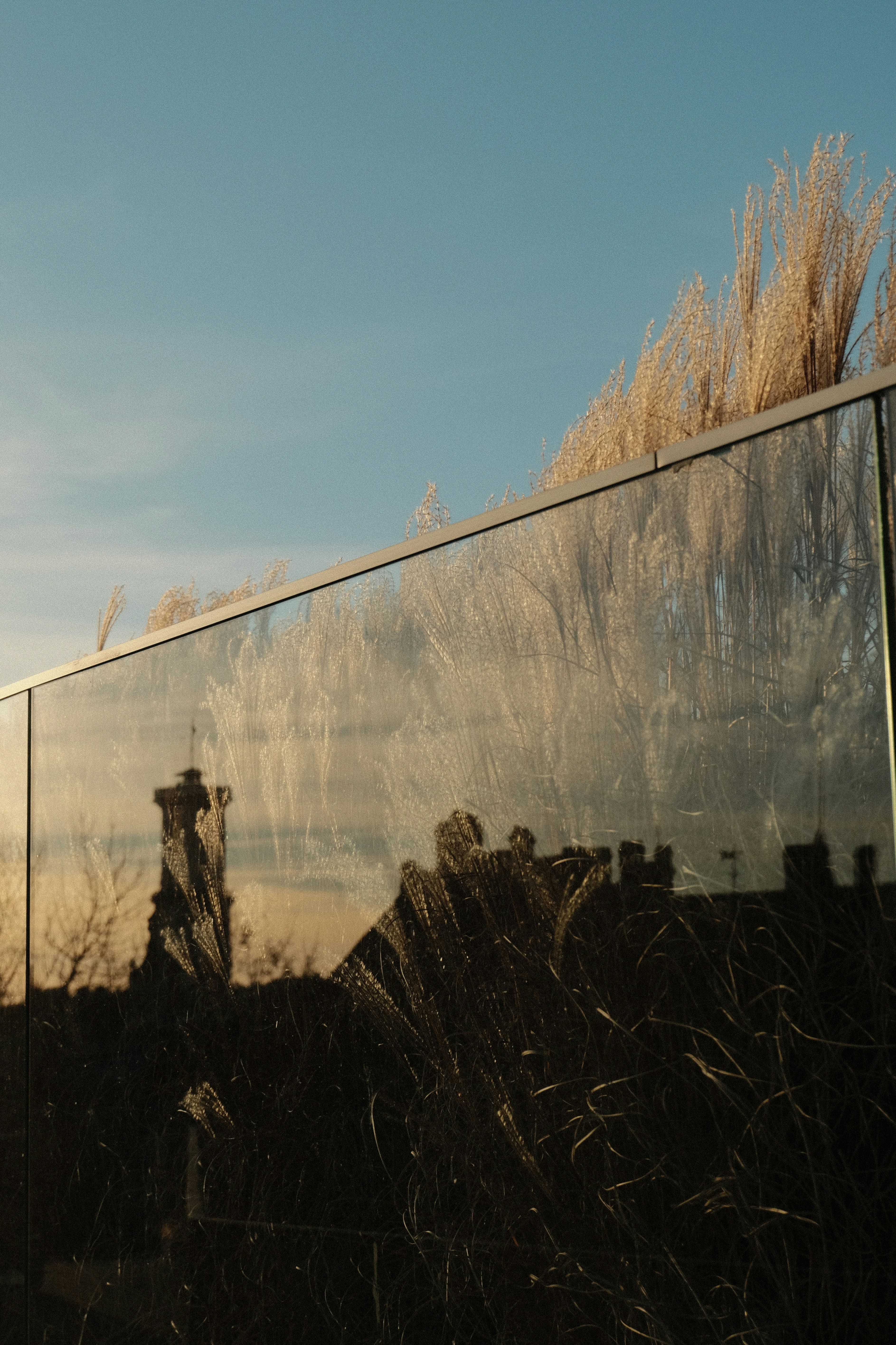 Dusk Reflections Along a Glass Barrier and Prairie Grasses