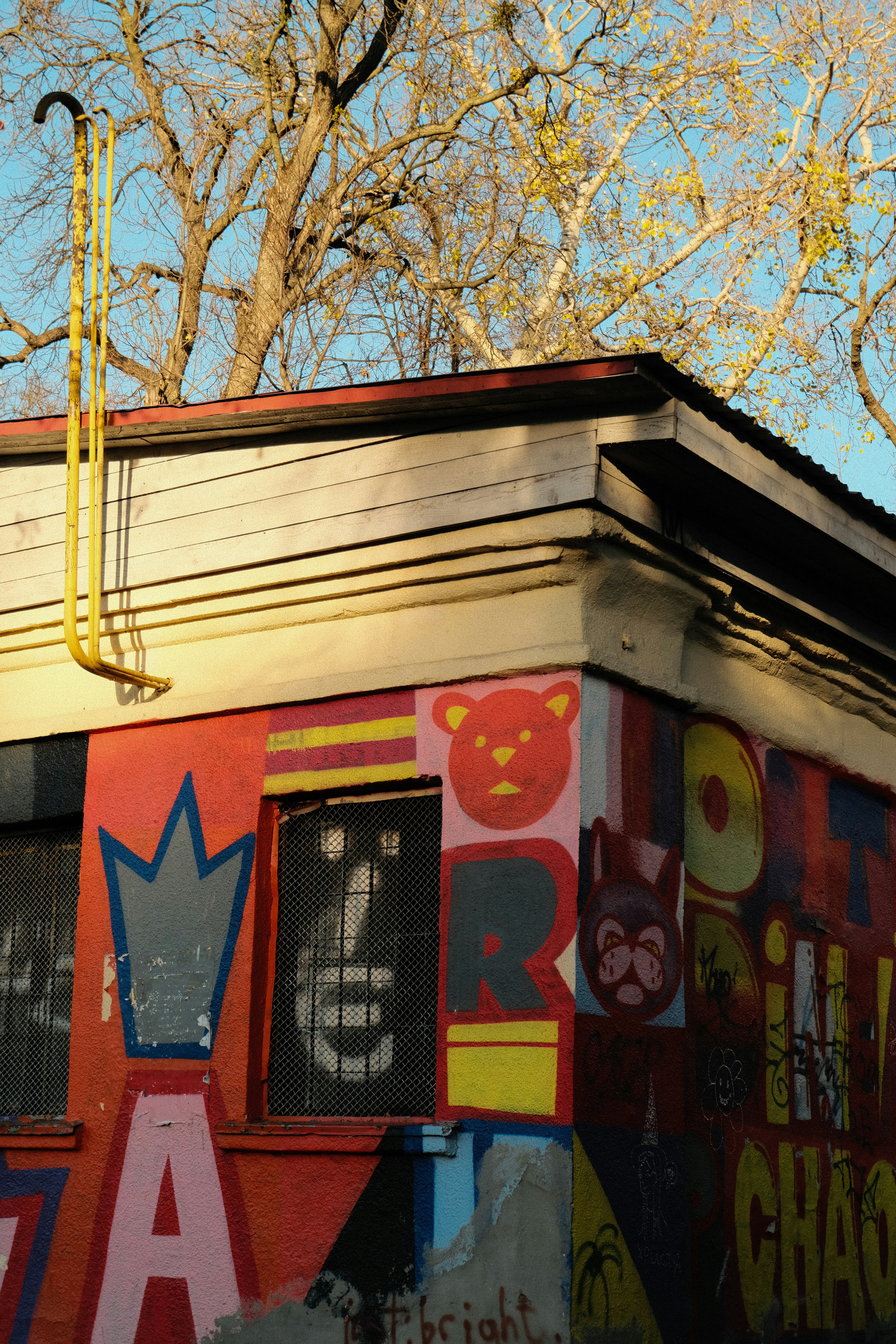 Vivid Corner Graffiti: Colorful Mural on a Painted Wall Under a Clear Sky