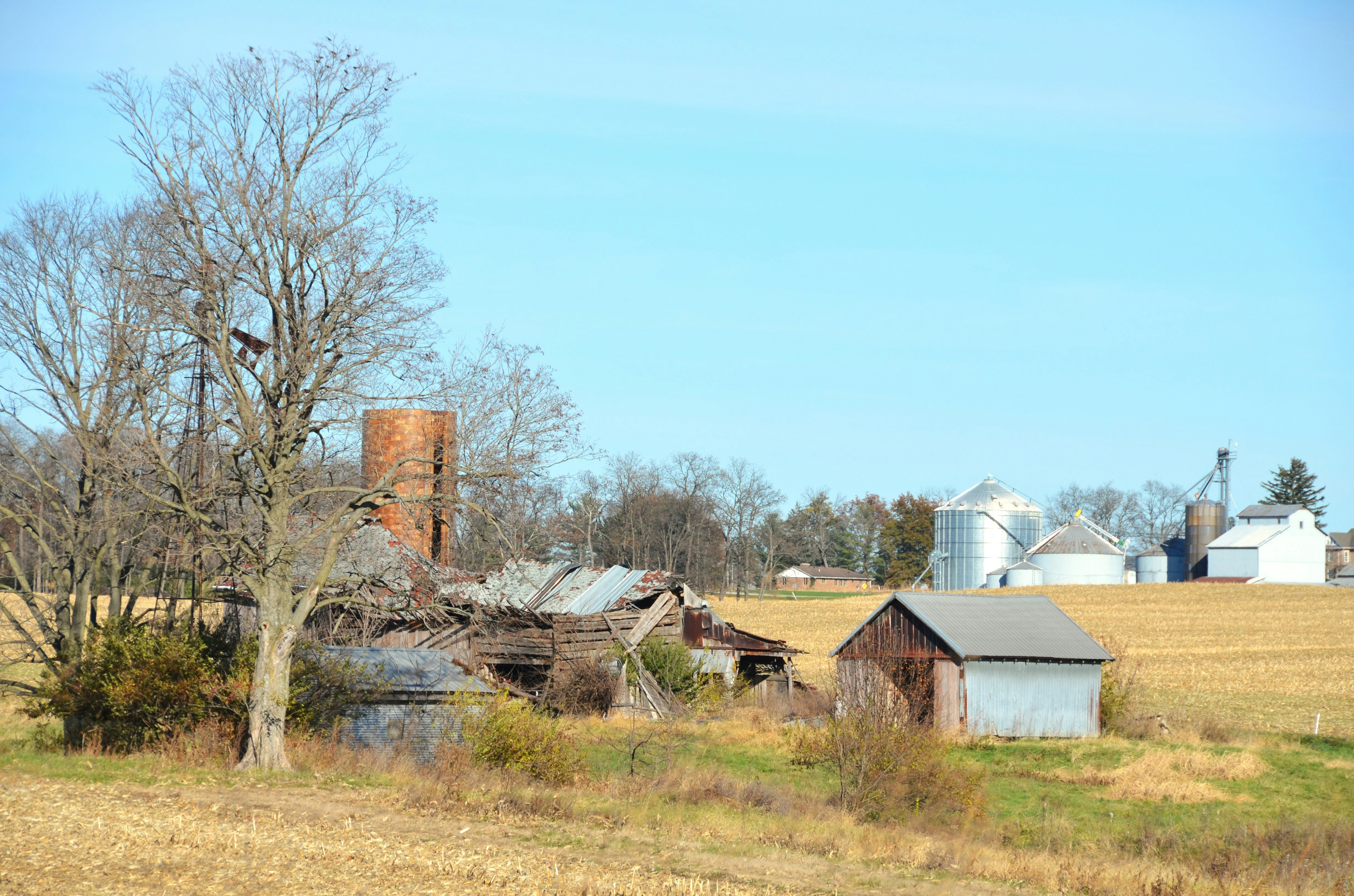 Silo Sentinel: A Quiet Farmstead Under a Wide Prairie Sky