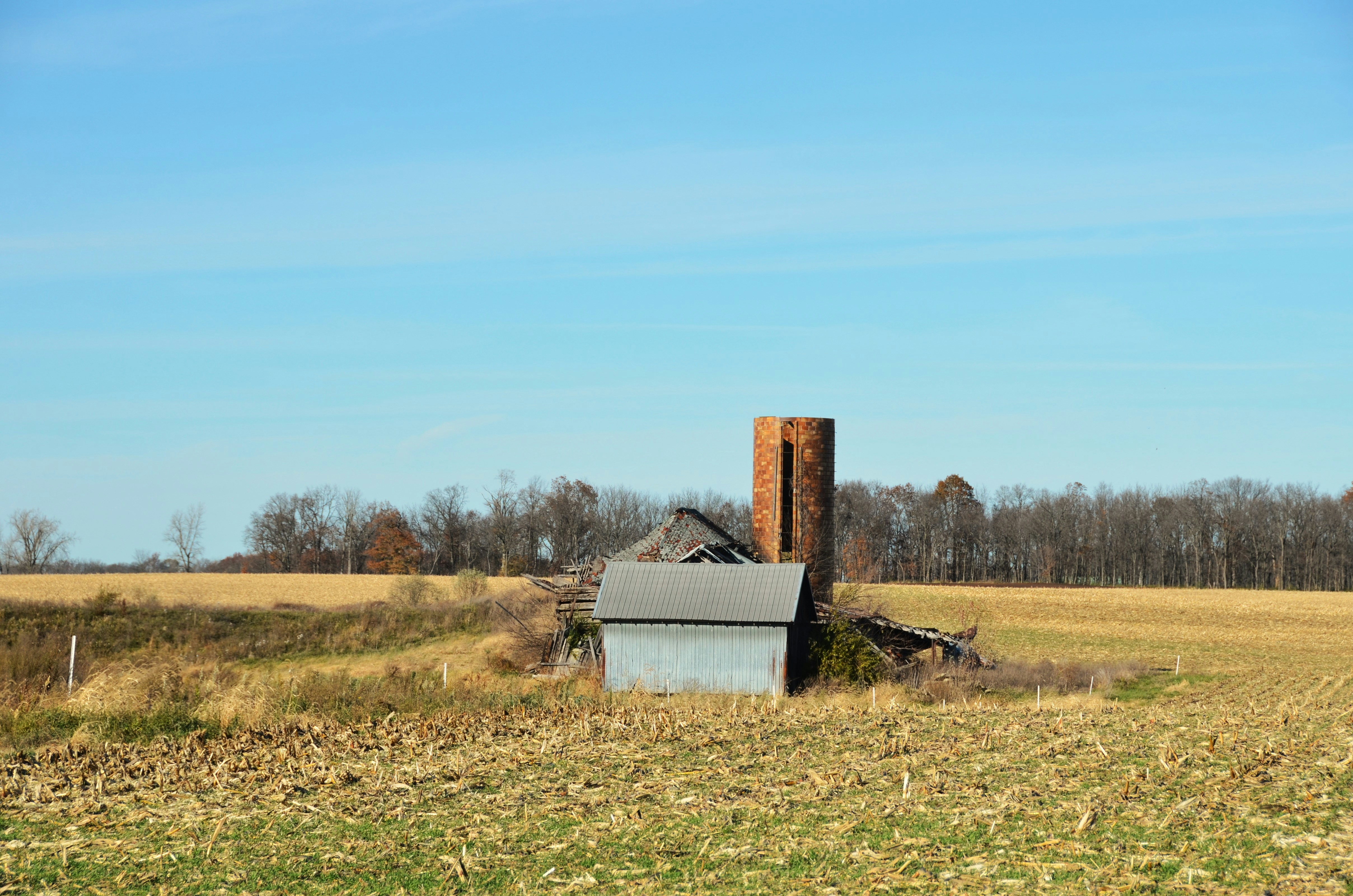 Brick Chimney Rising Behind a Weathered Shed in a Sunlit Prairie