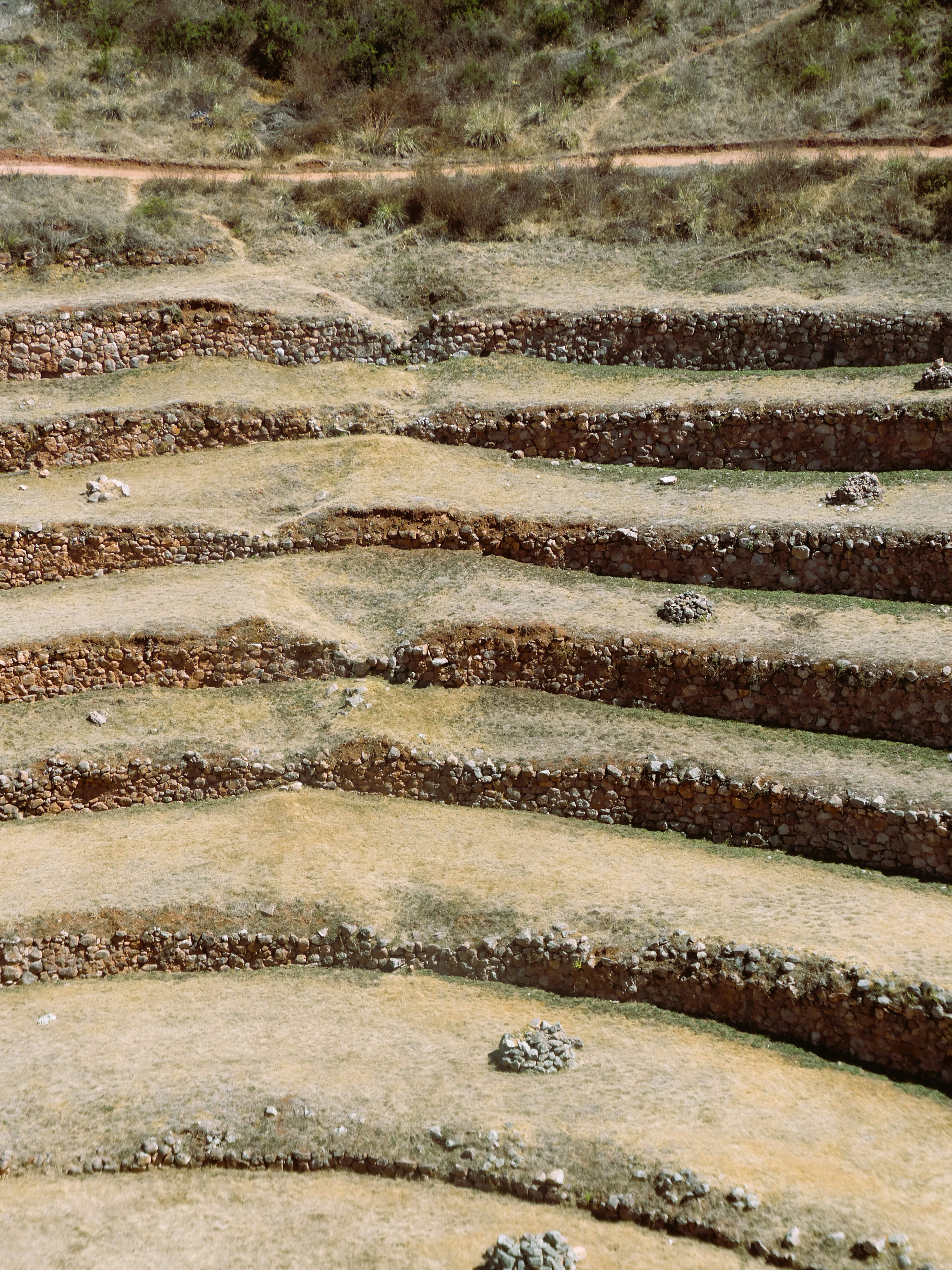 Circular terraces of Moray, Sacred Valley in the Cusco Region of Peru