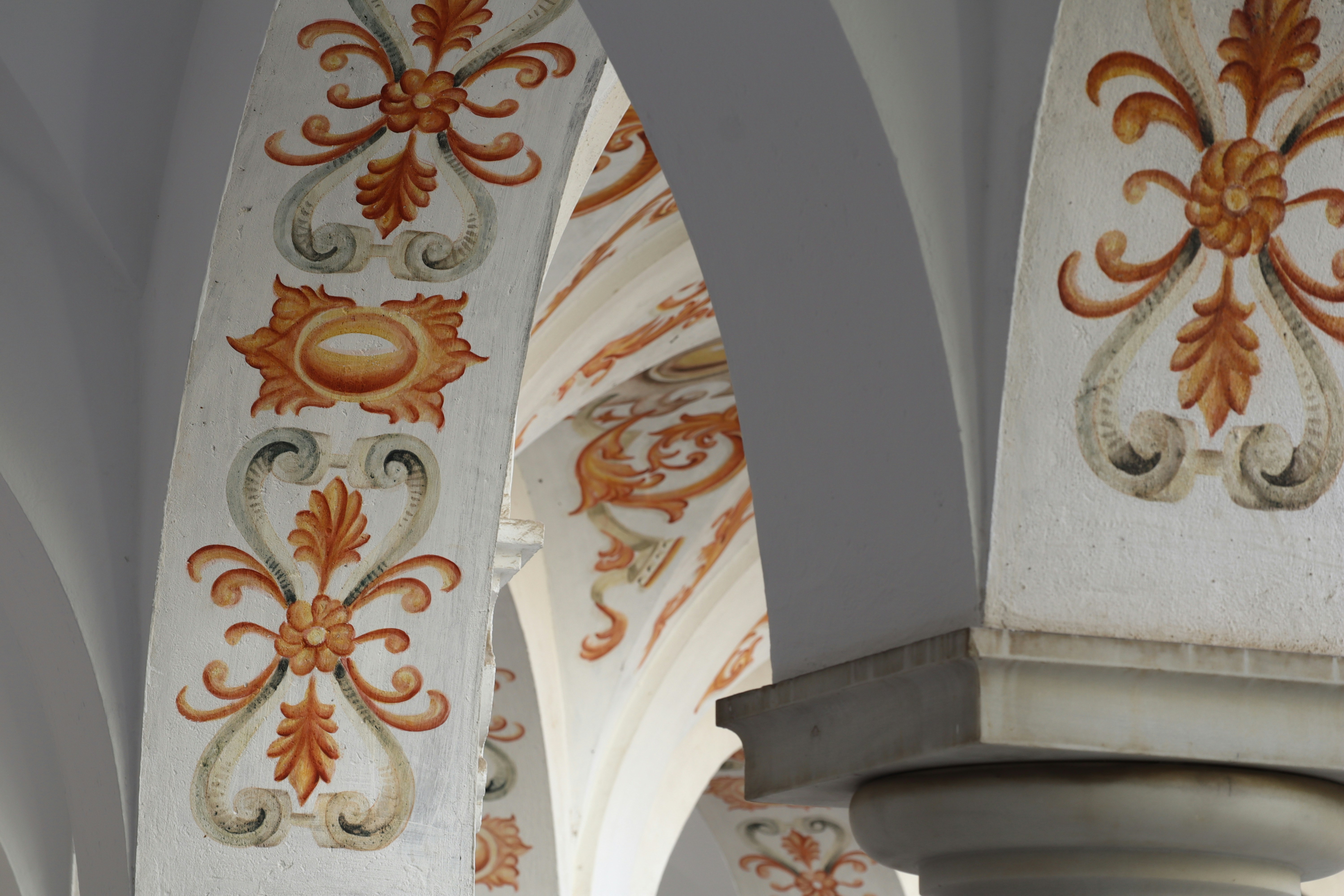 Photo by Gustavo Gutiérrez Lobato with Canon EOS R100