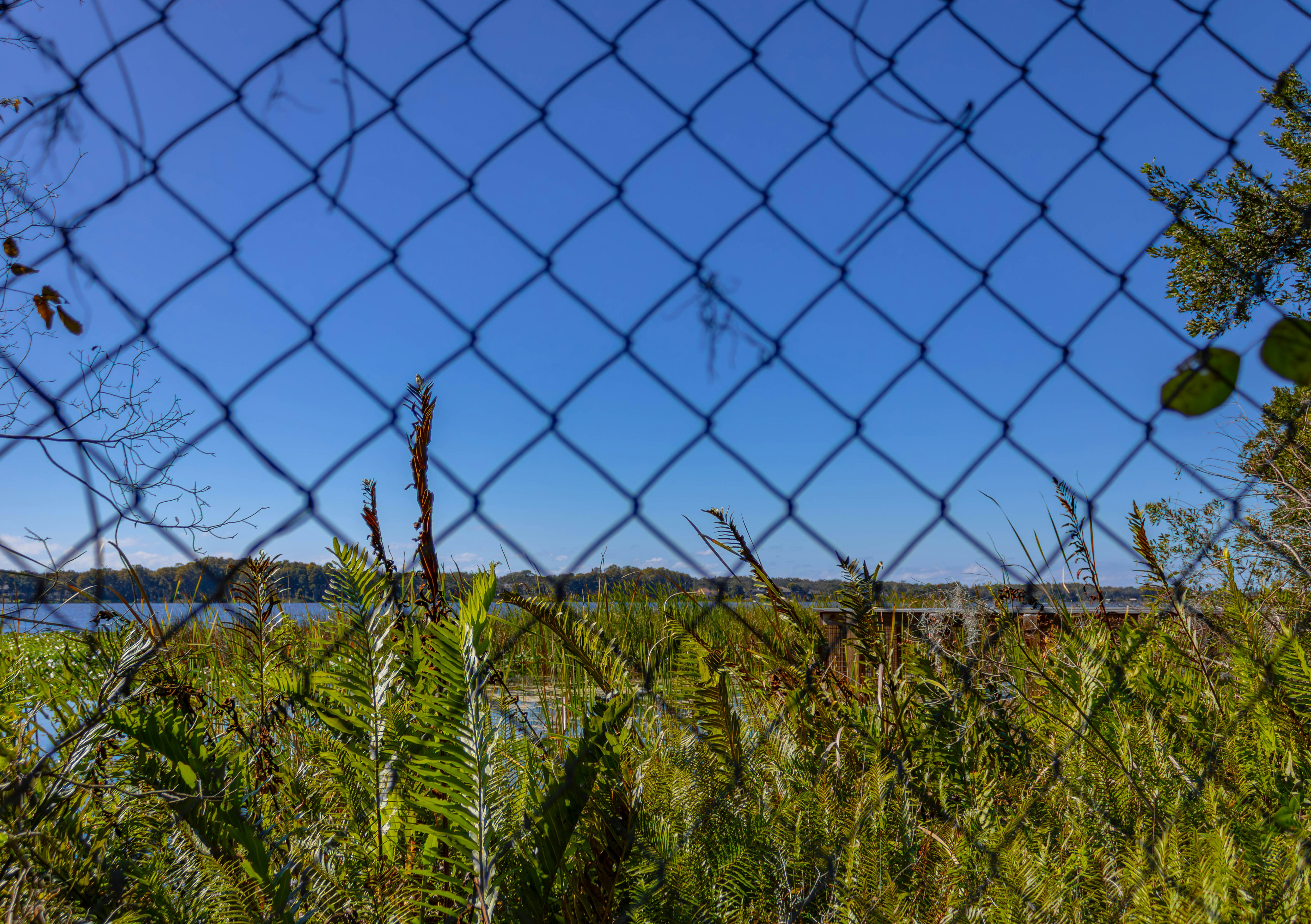 Photo by zf.j.r with Canon EOS 2000D