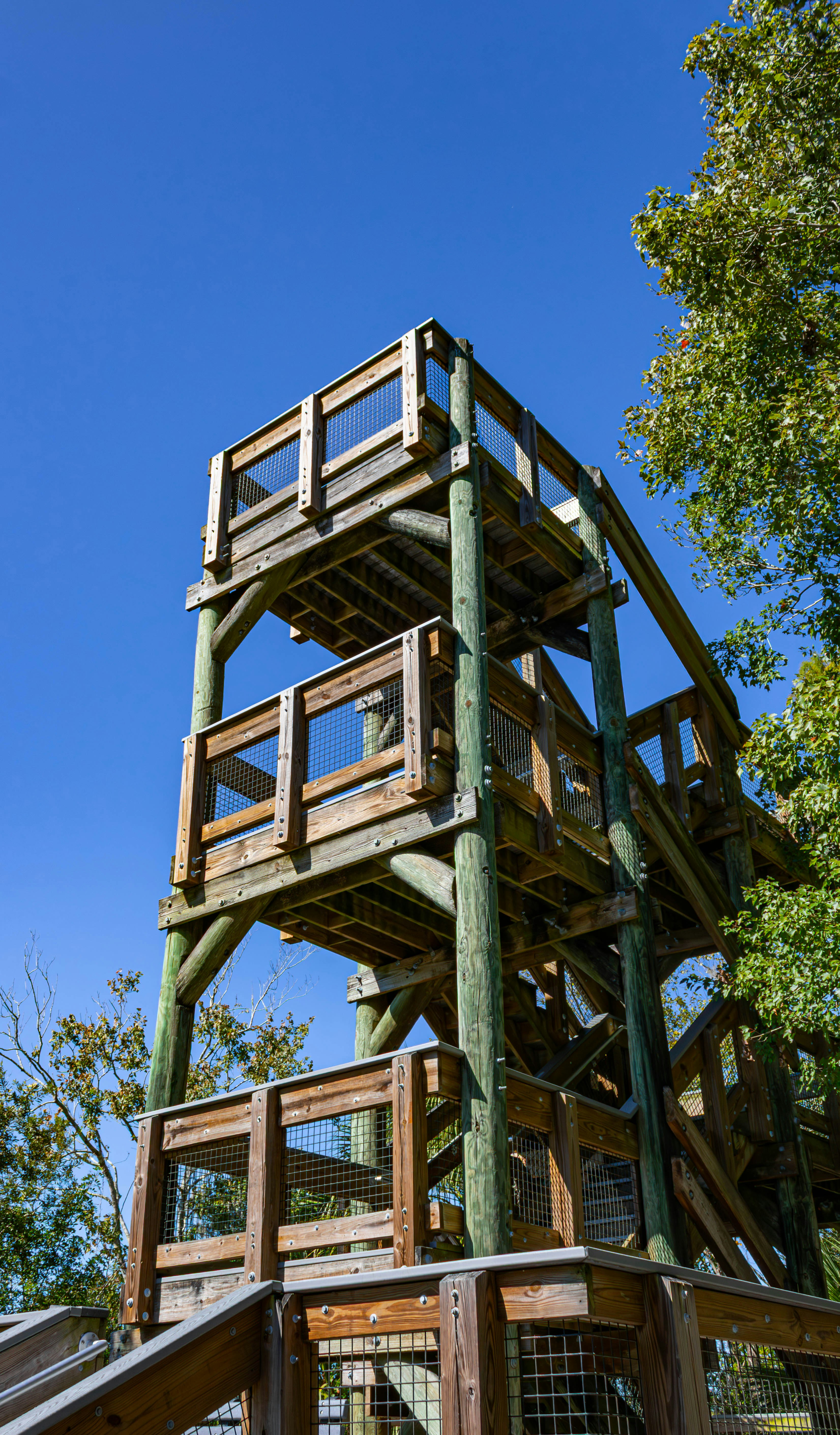 Photo by zf.j.r with Canon EOS 2000D