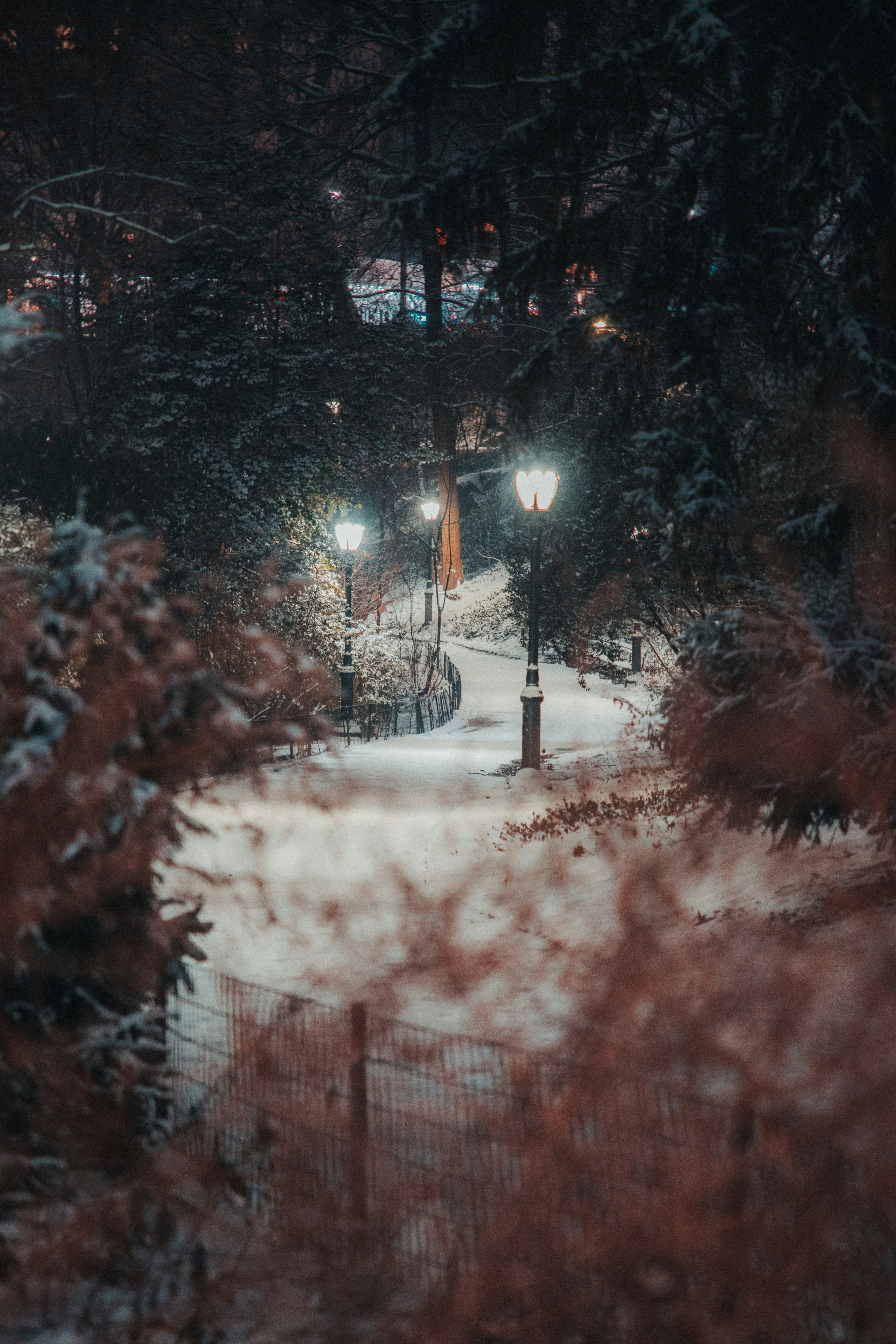 Snowy park path with glowing lampposts at night