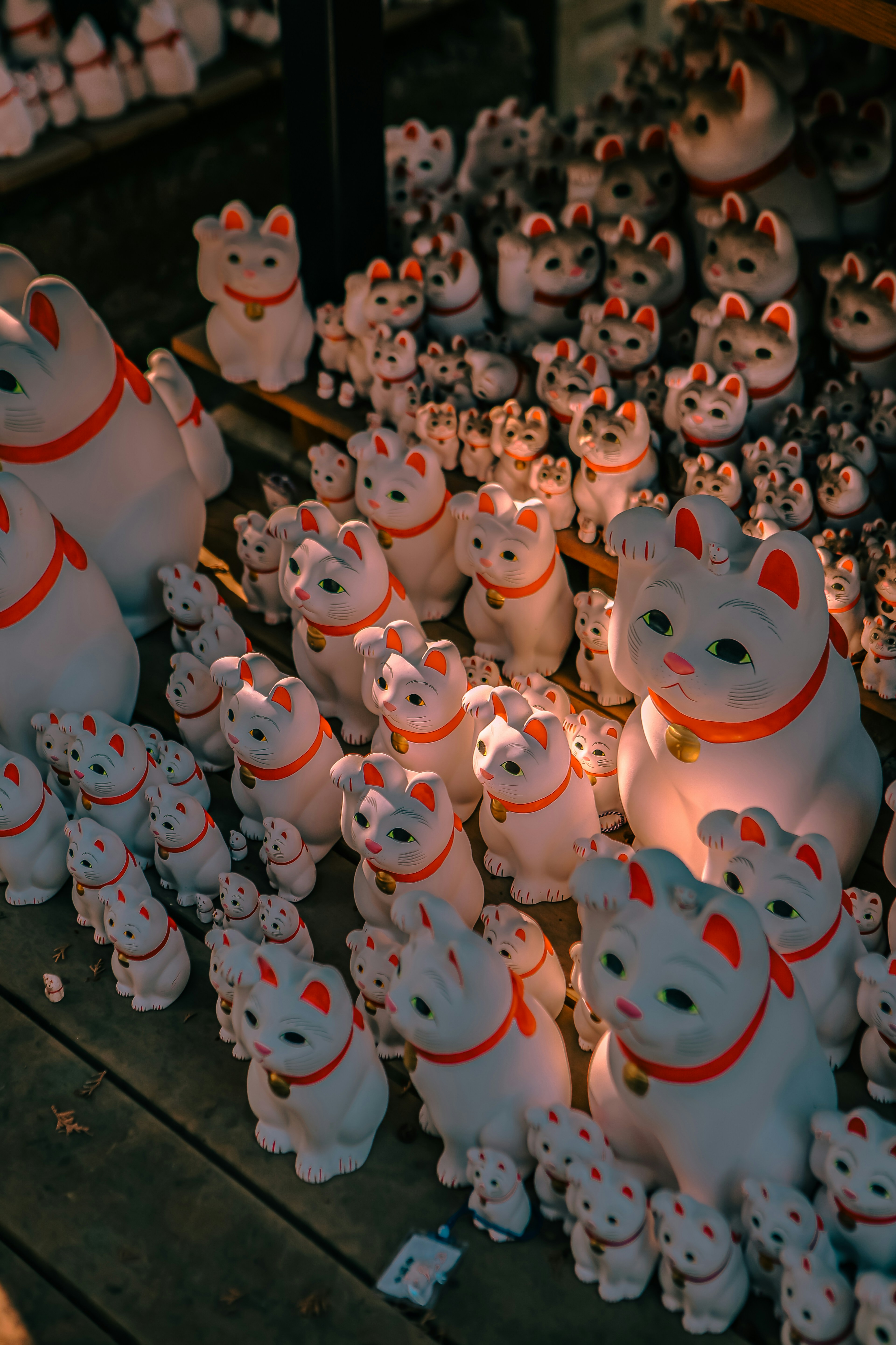 Many white maneki-neko cats arranged in rows