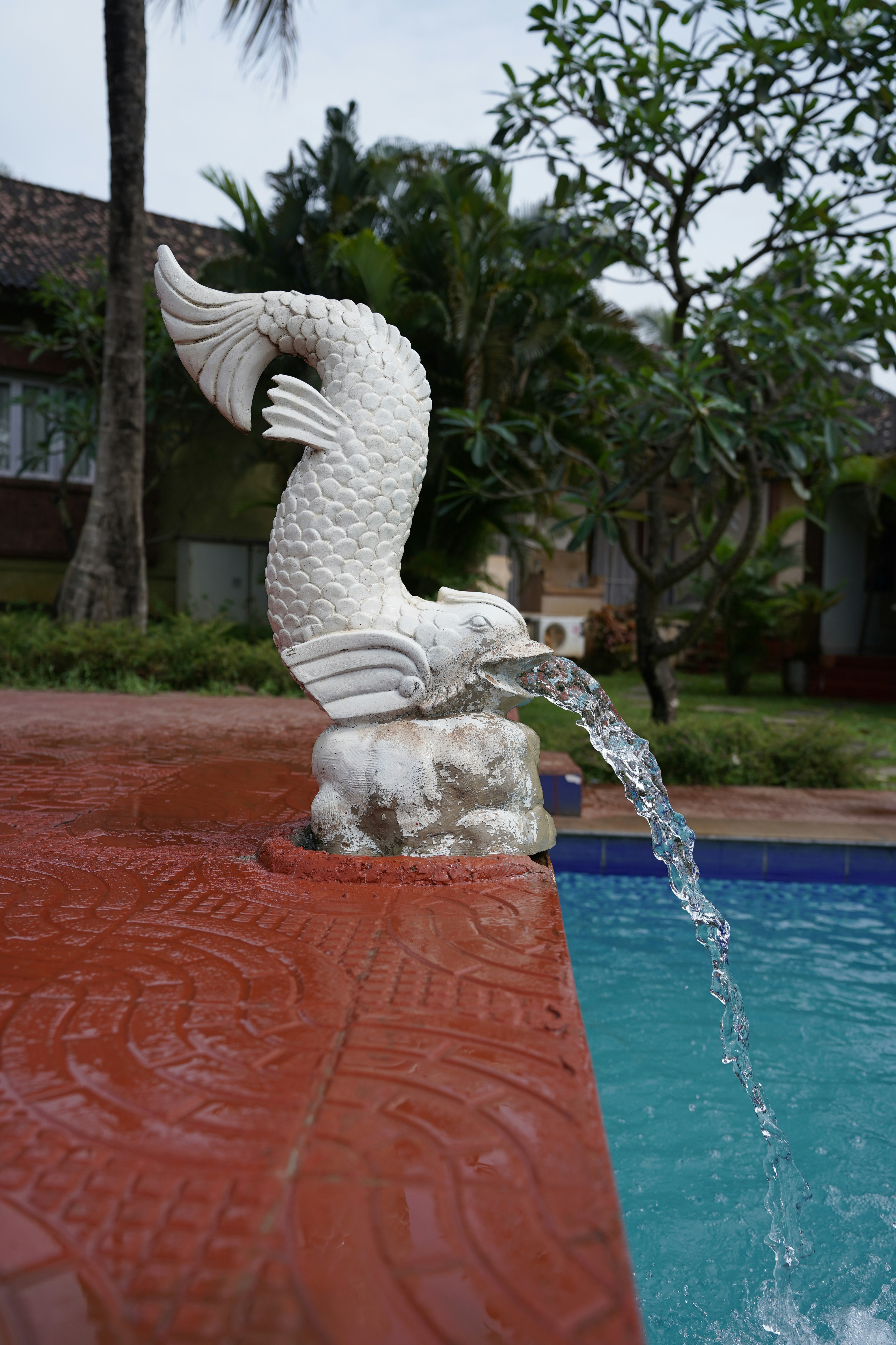 Dragon Fountain Arc: A White Ceramic Serpent Spouts Water into a Turquoise Pool in a Tropical Courtyard