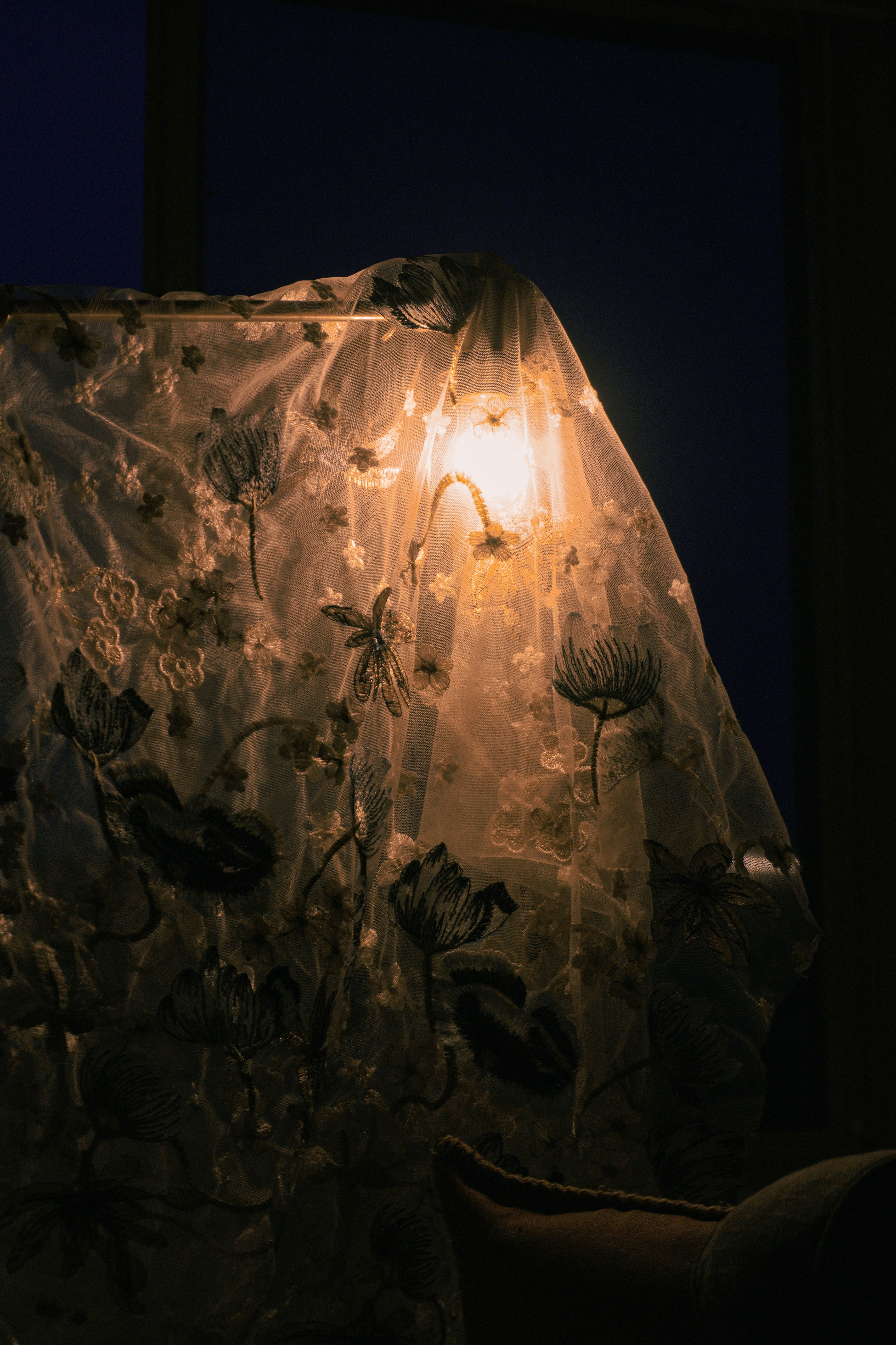 Backlit Lace: A Quiet Glow Behind Floral Veil