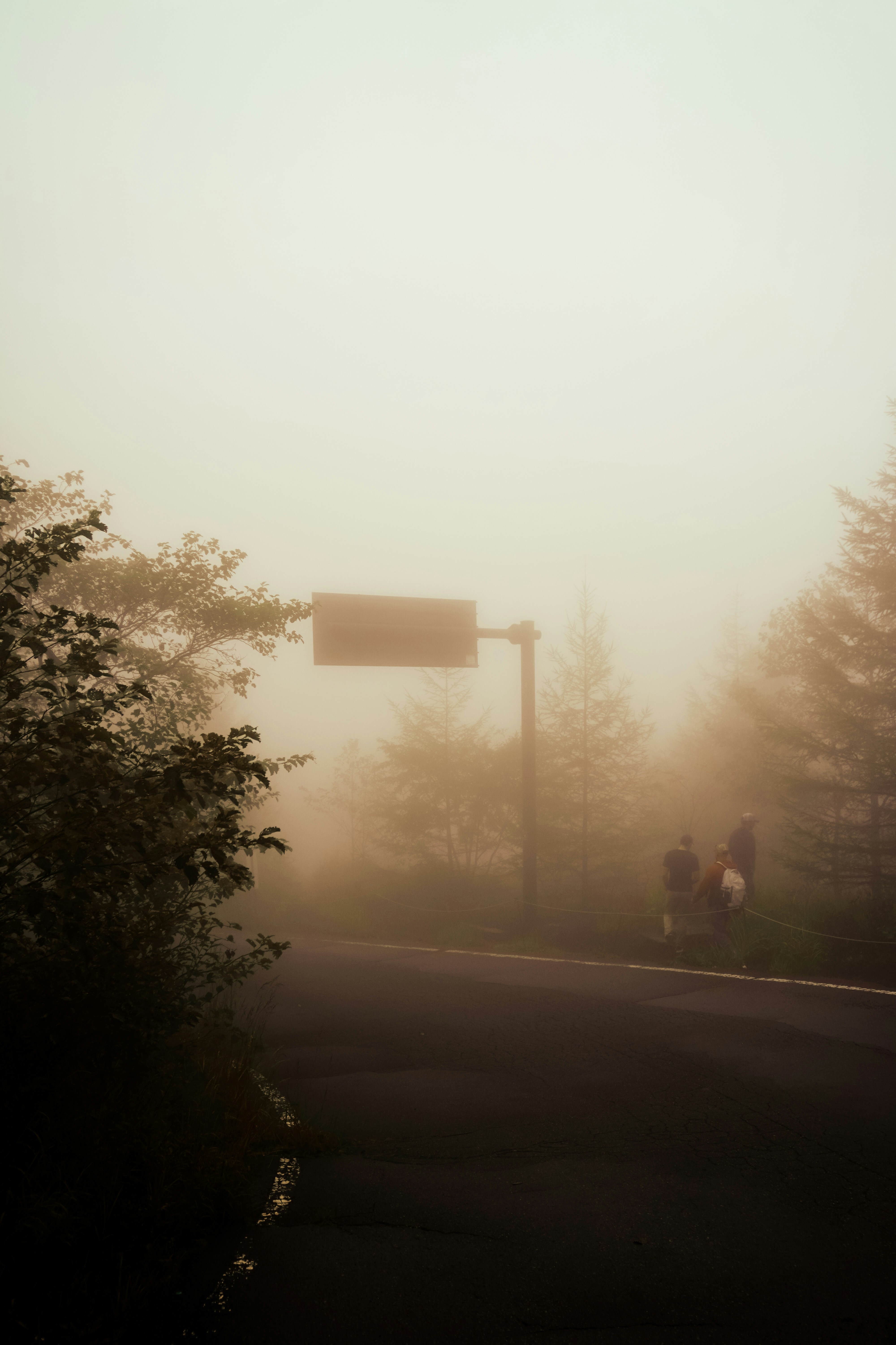 A foggy day on Mount Fuji.