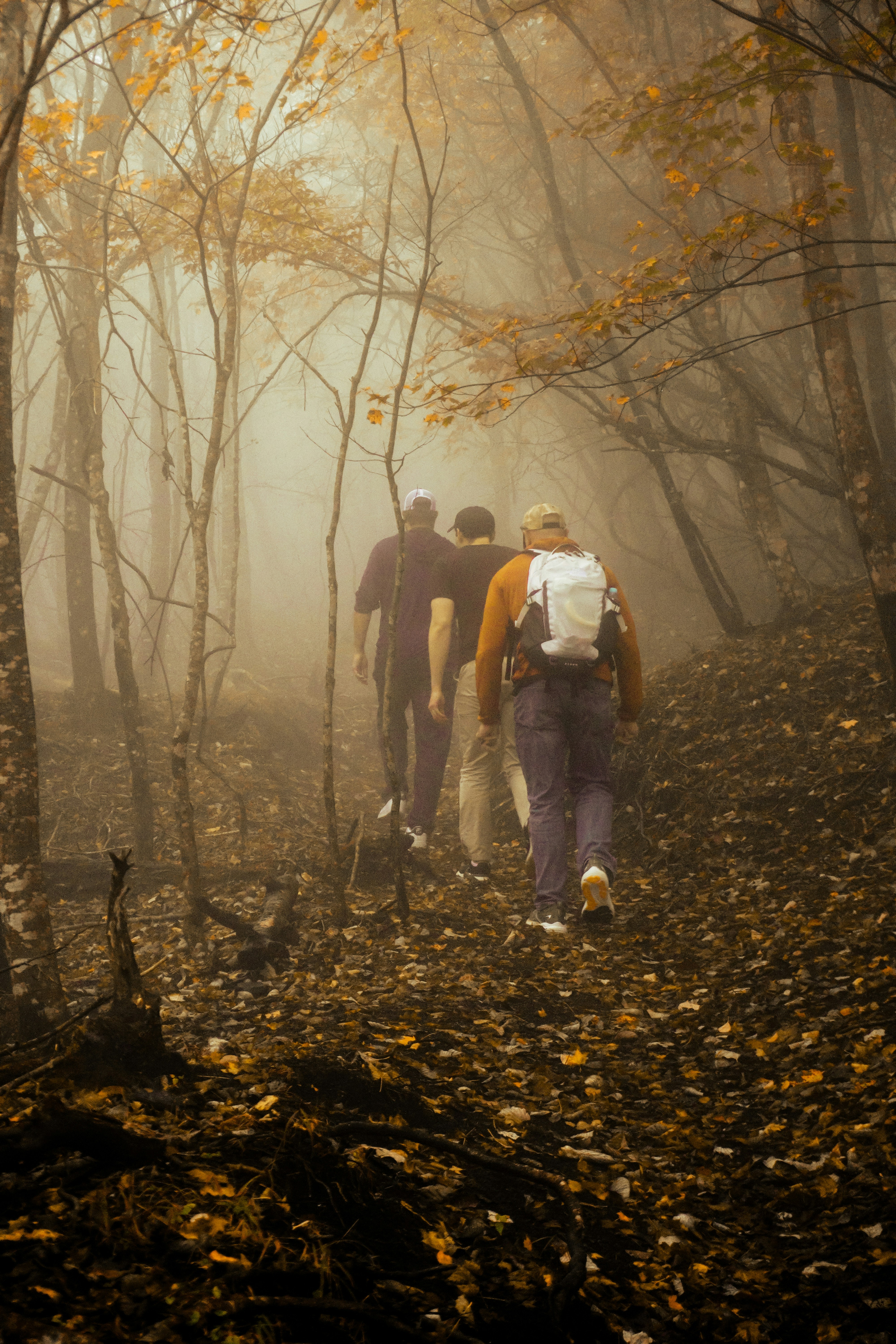 Photo by Sudhan Chitgopkar with Sony Alpha 6400
