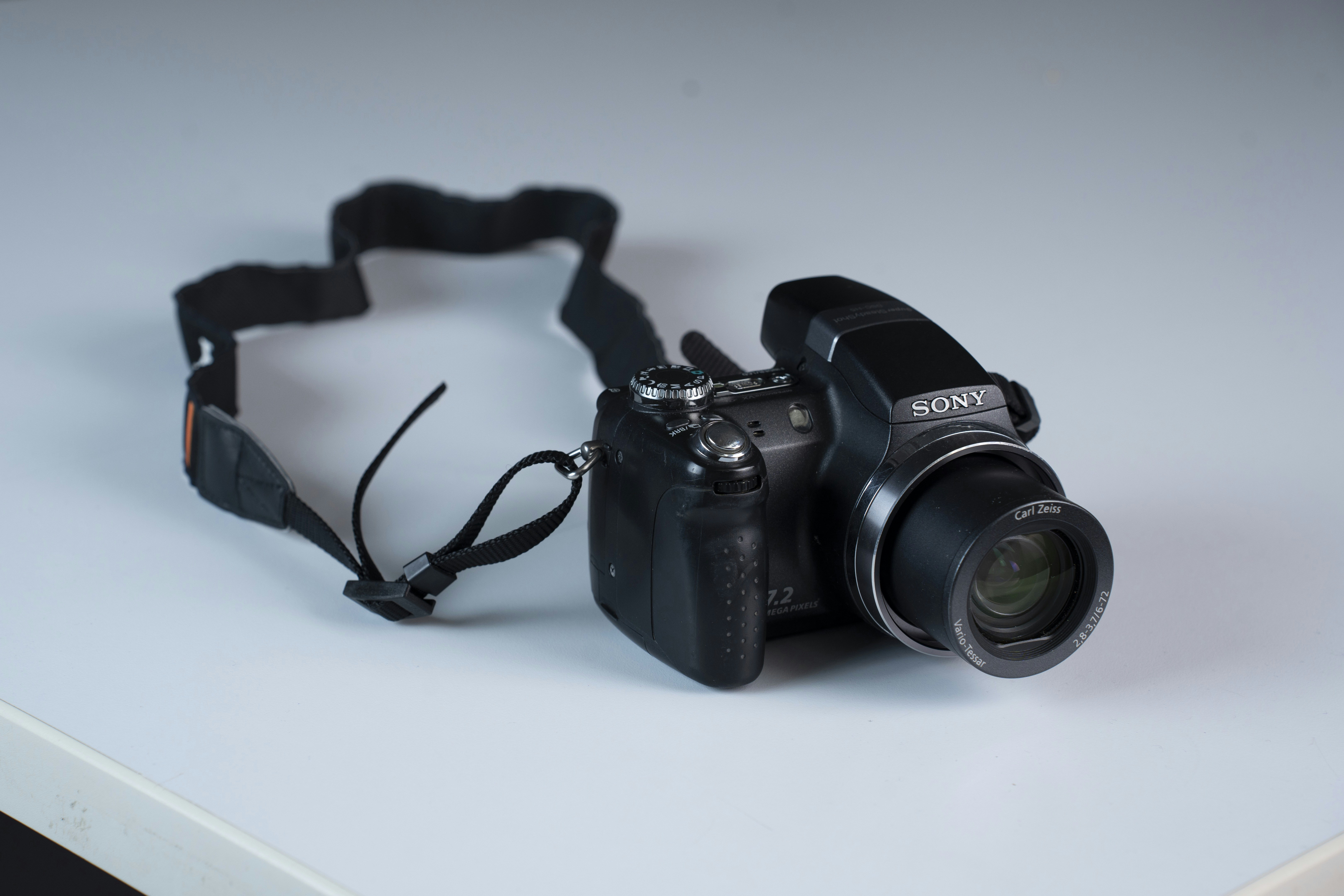 Photo by Yimeng Zhao with Sony Alpha 7C II