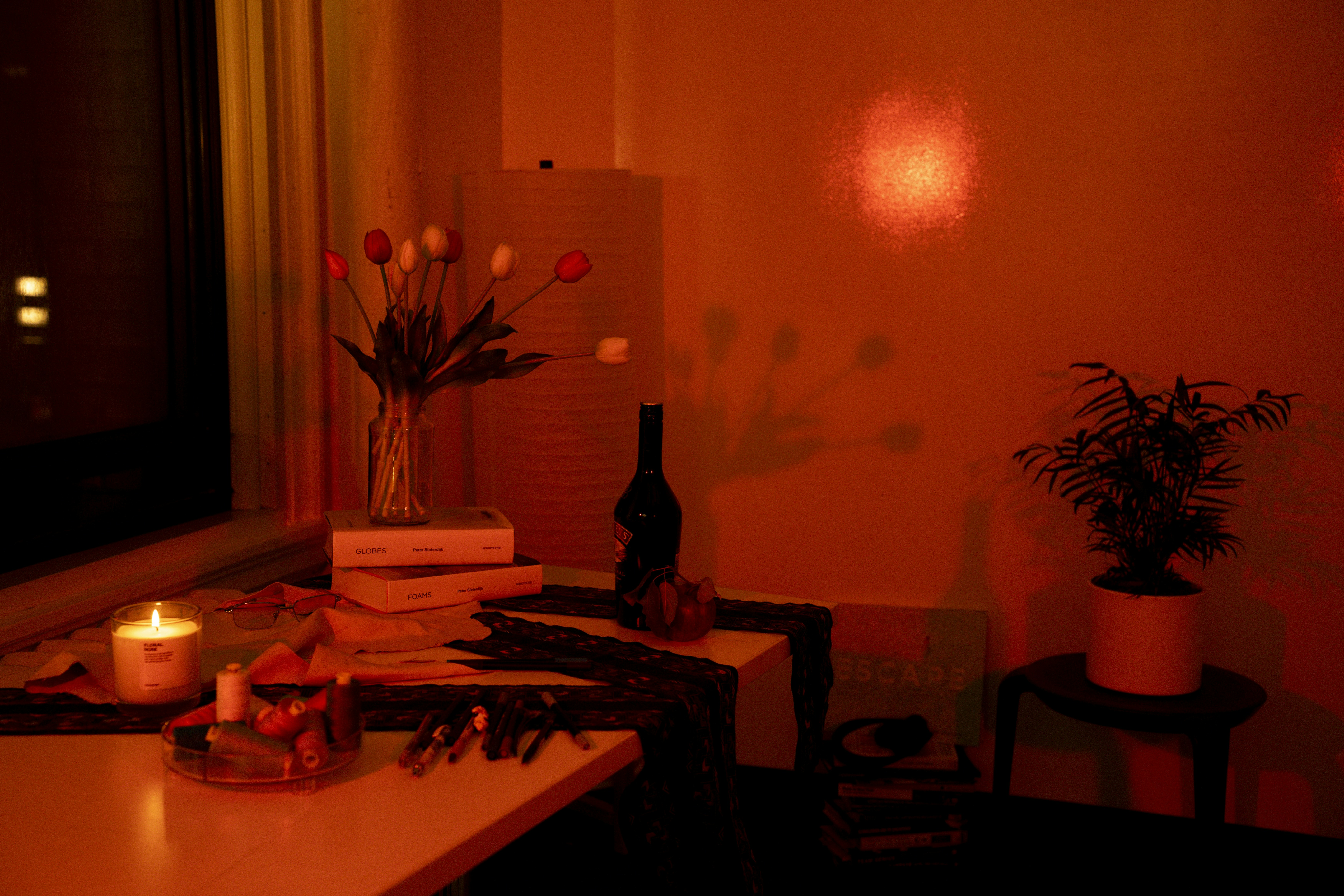 Photo by Yimeng Zhao with Sony Alpha 7C II