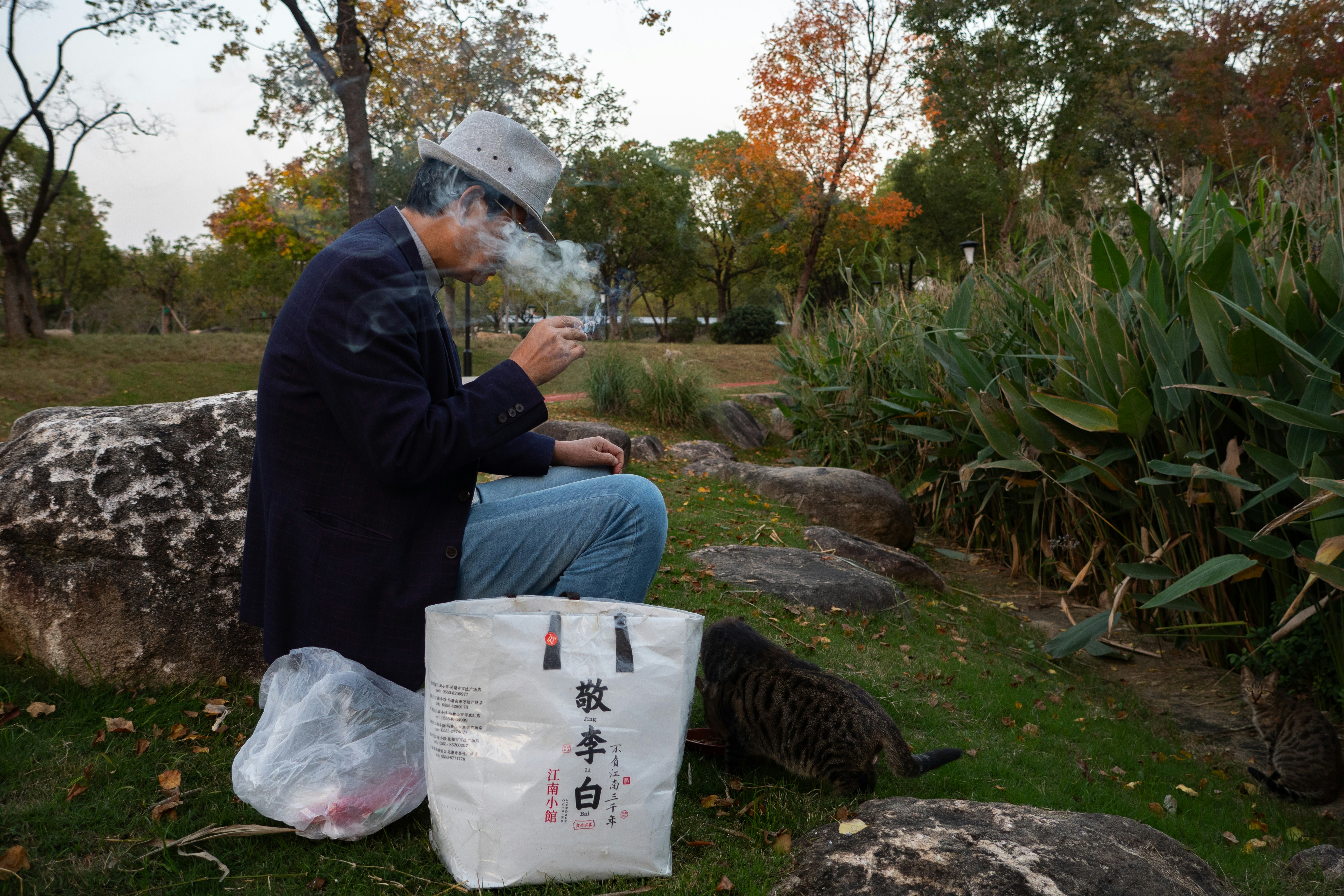Autumn Park Solitude: Smoke Rises Over Stones