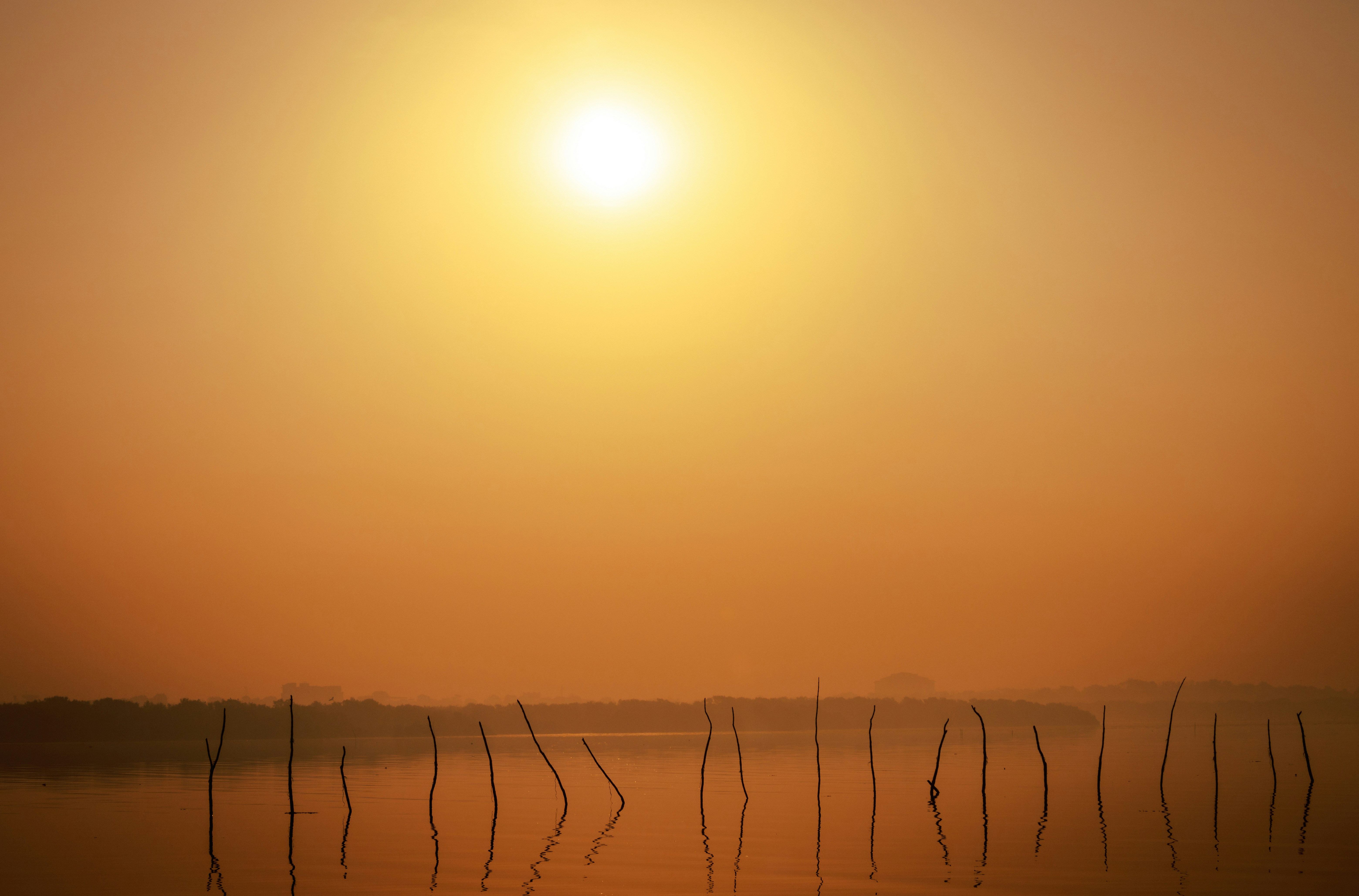Dusk on a Misty Waterway: Sunlight, Haze, and Delicate Stakes