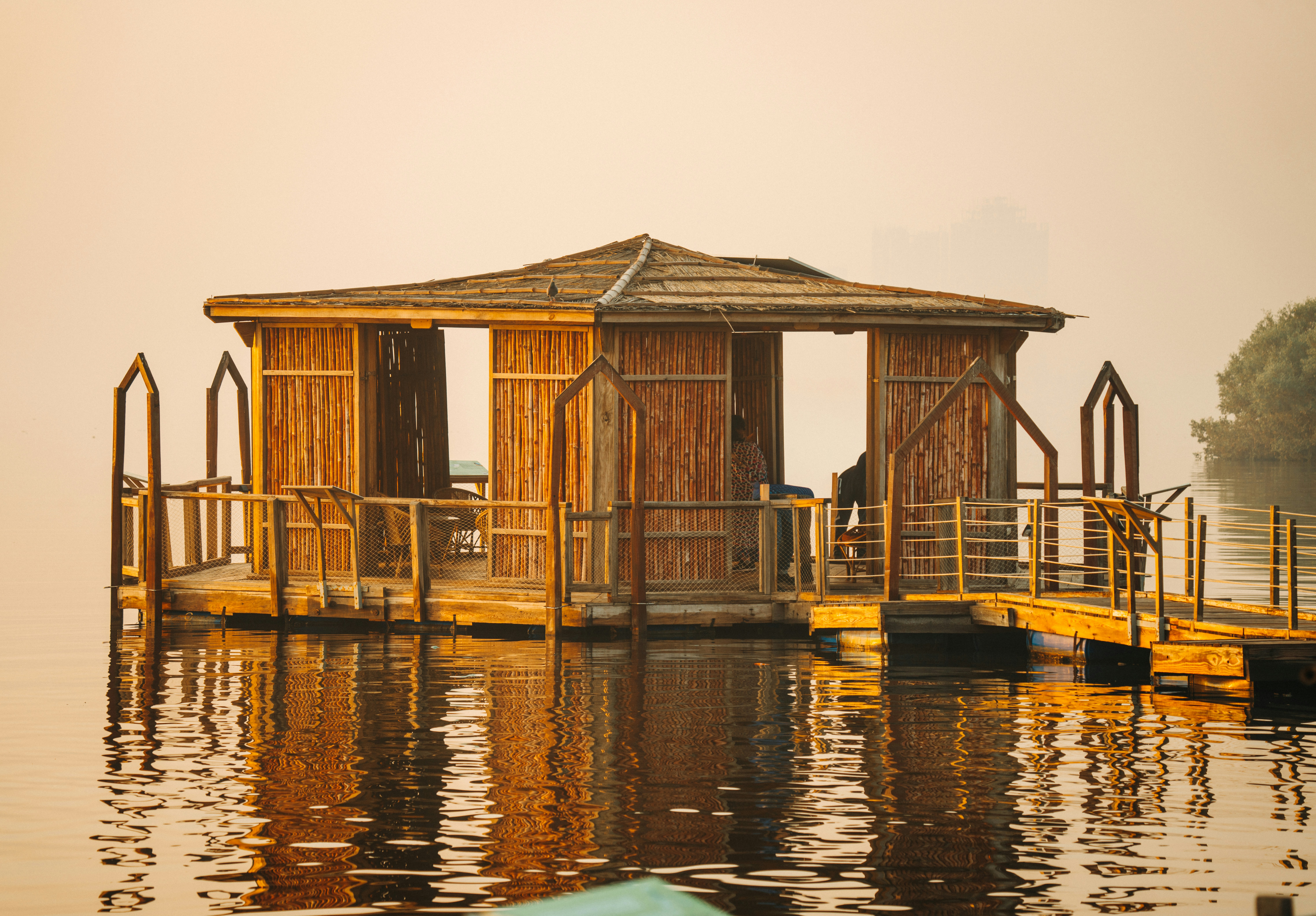 Photo by Tahamie Farooqui with Sony Alpha 7R V