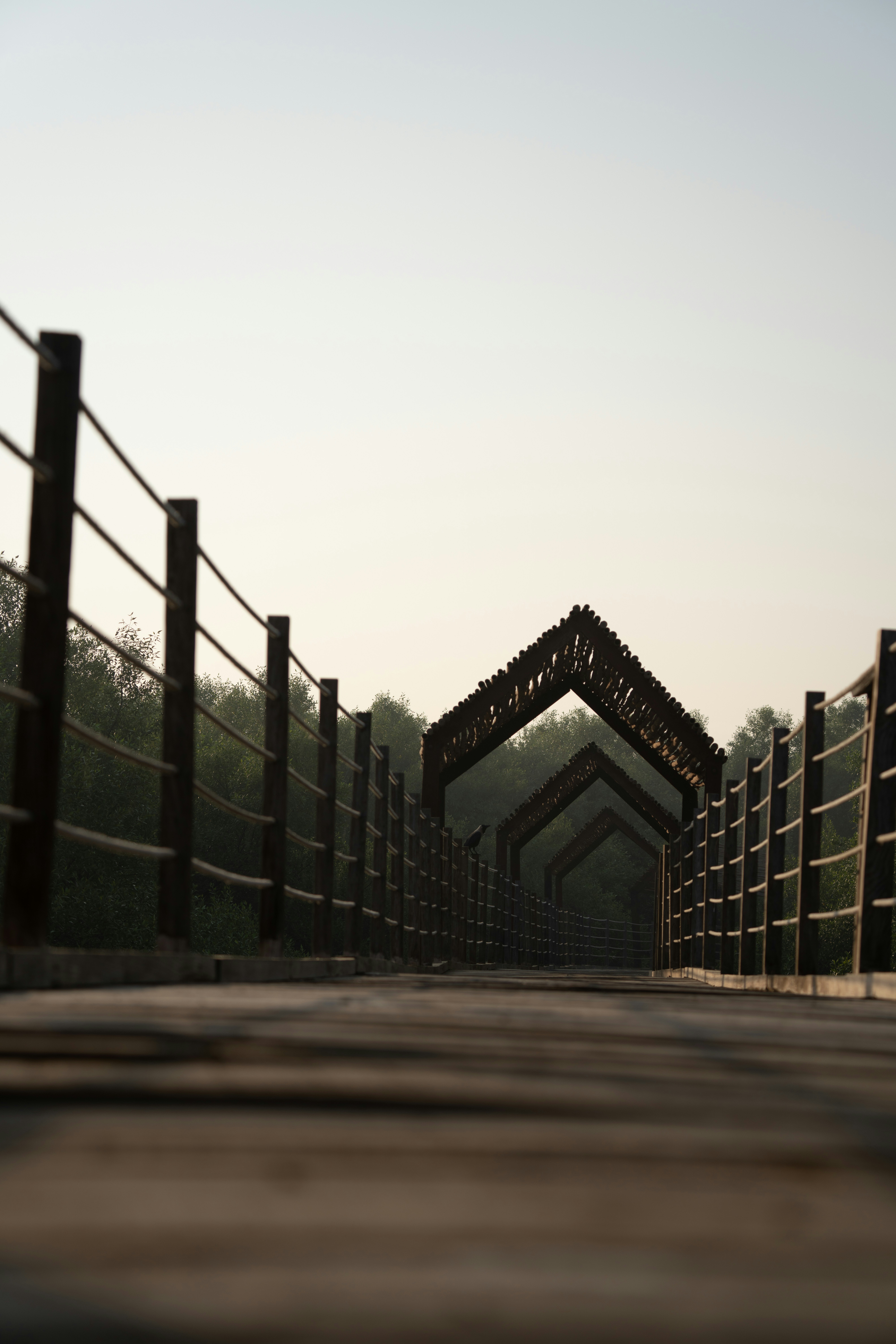 A powerful low-angle shot of a wooden walkway stretching through a mangrove forest. The strong leading lines and repeating structure create a dramatic and immersive visual experience.