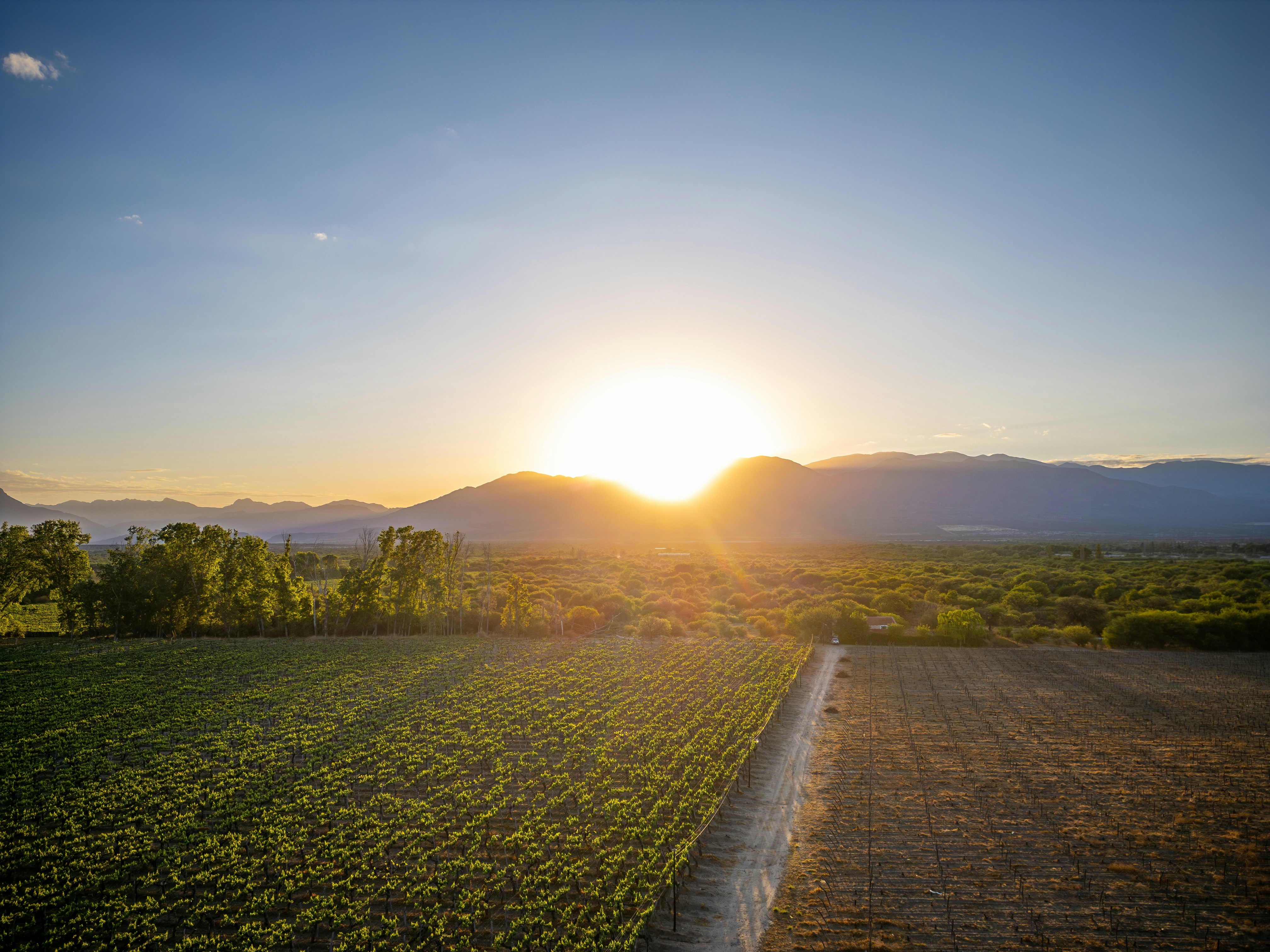 Cafayate, Argentina