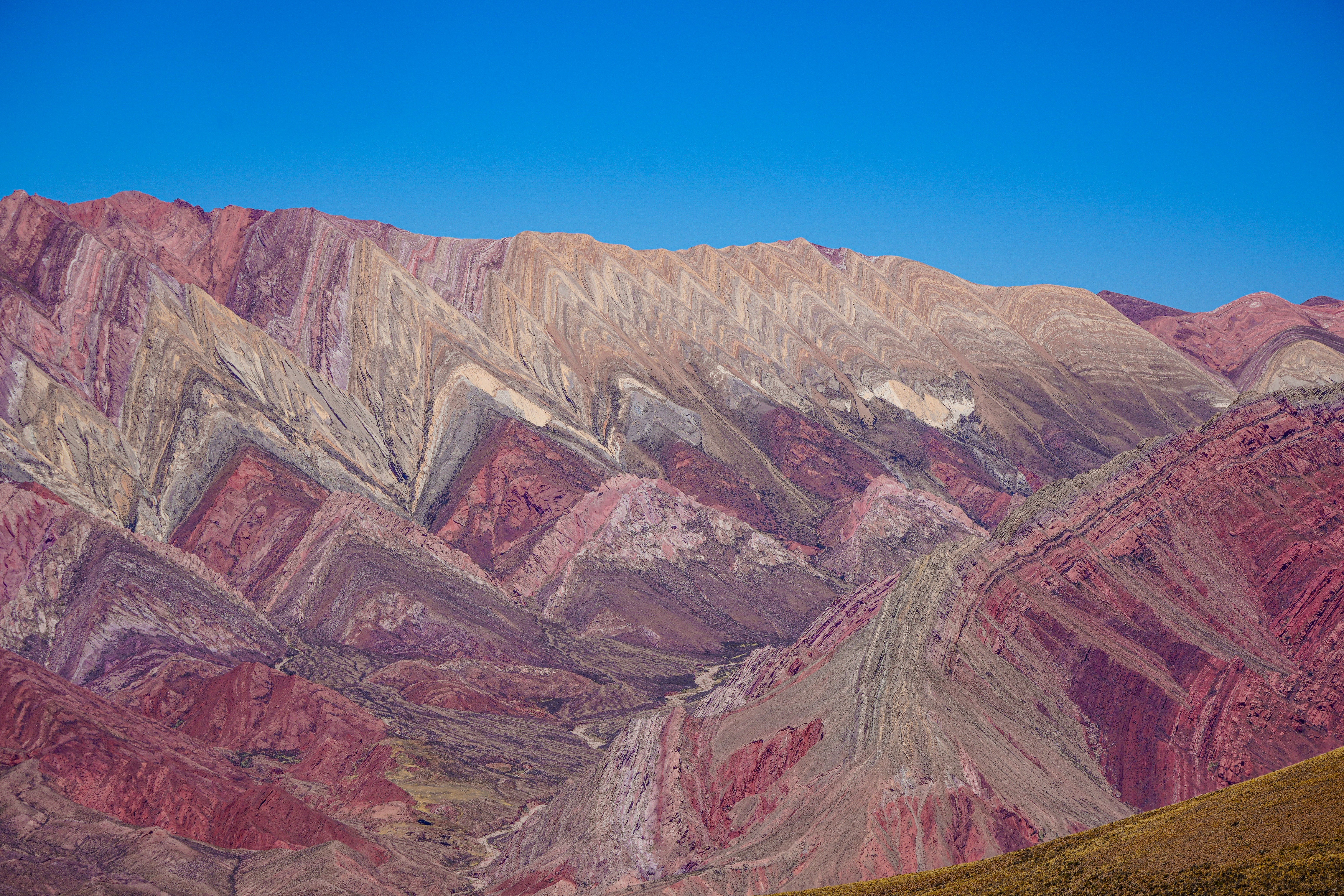 Photo by Shai Pal with Sony Sony ZV-E10 II