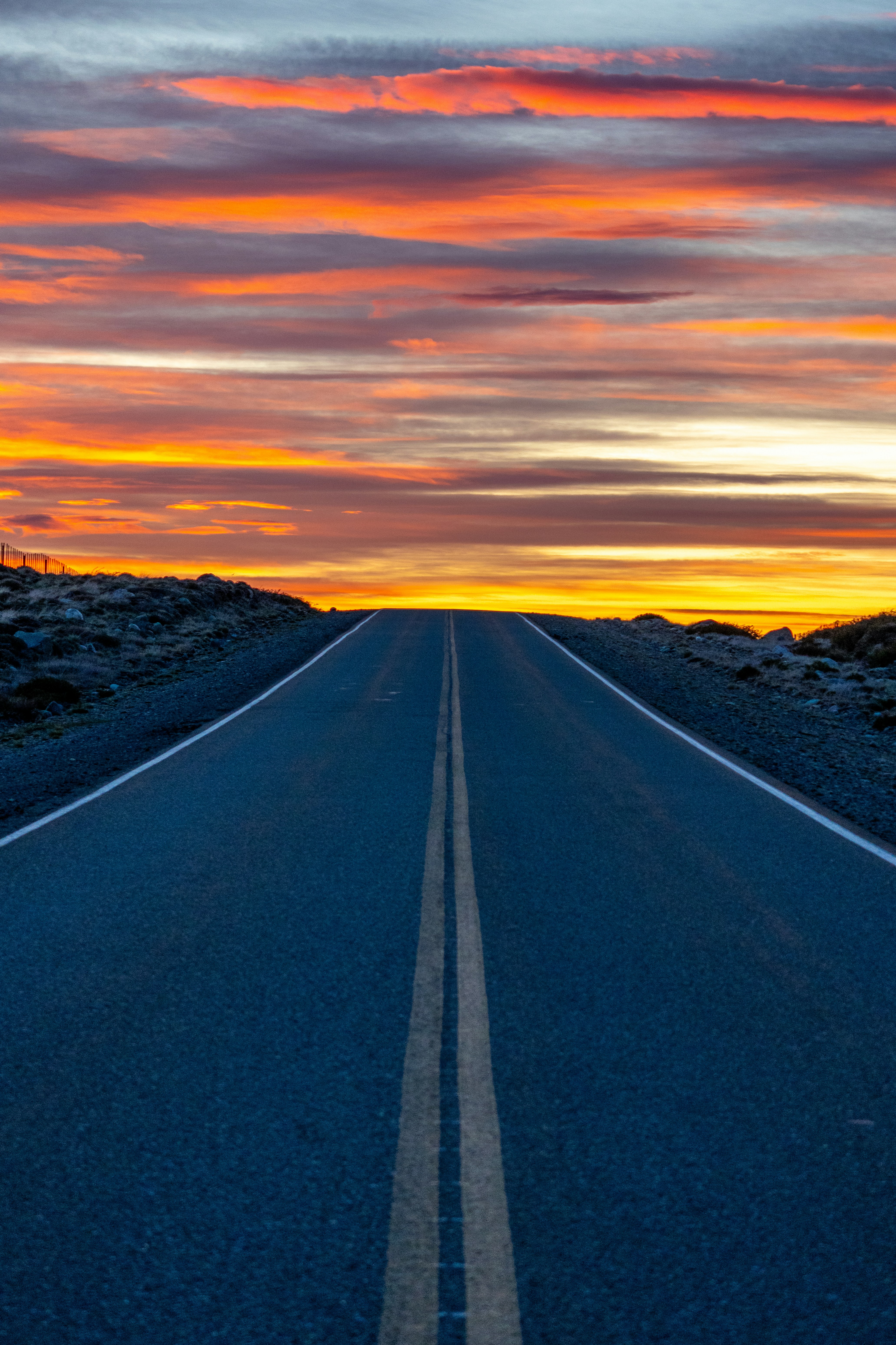 Photo by Shai Pal with Sony Sony ZV-E10 II