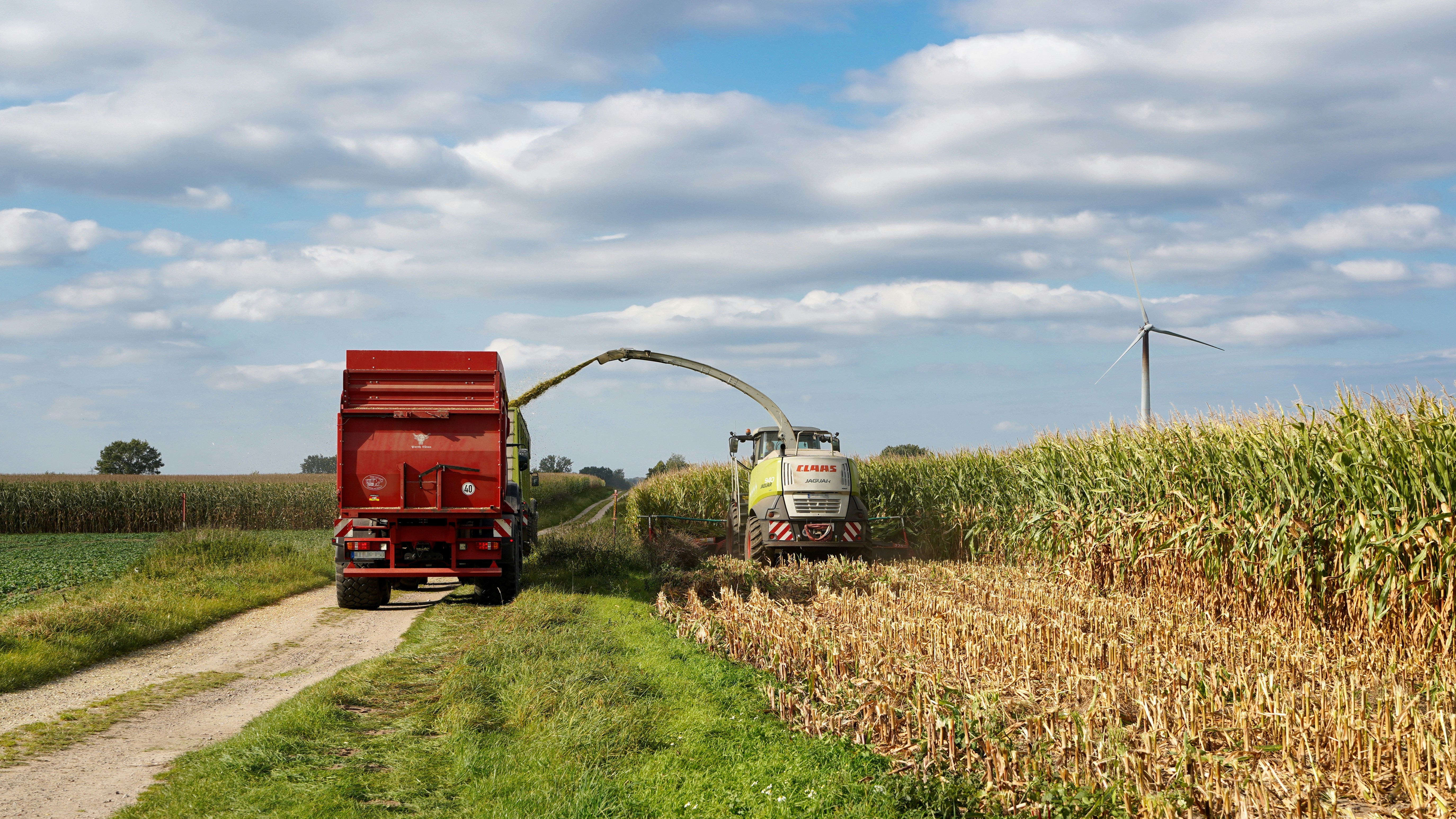 Photo by Wolfgang Weiser with Sony Alpha 7 III