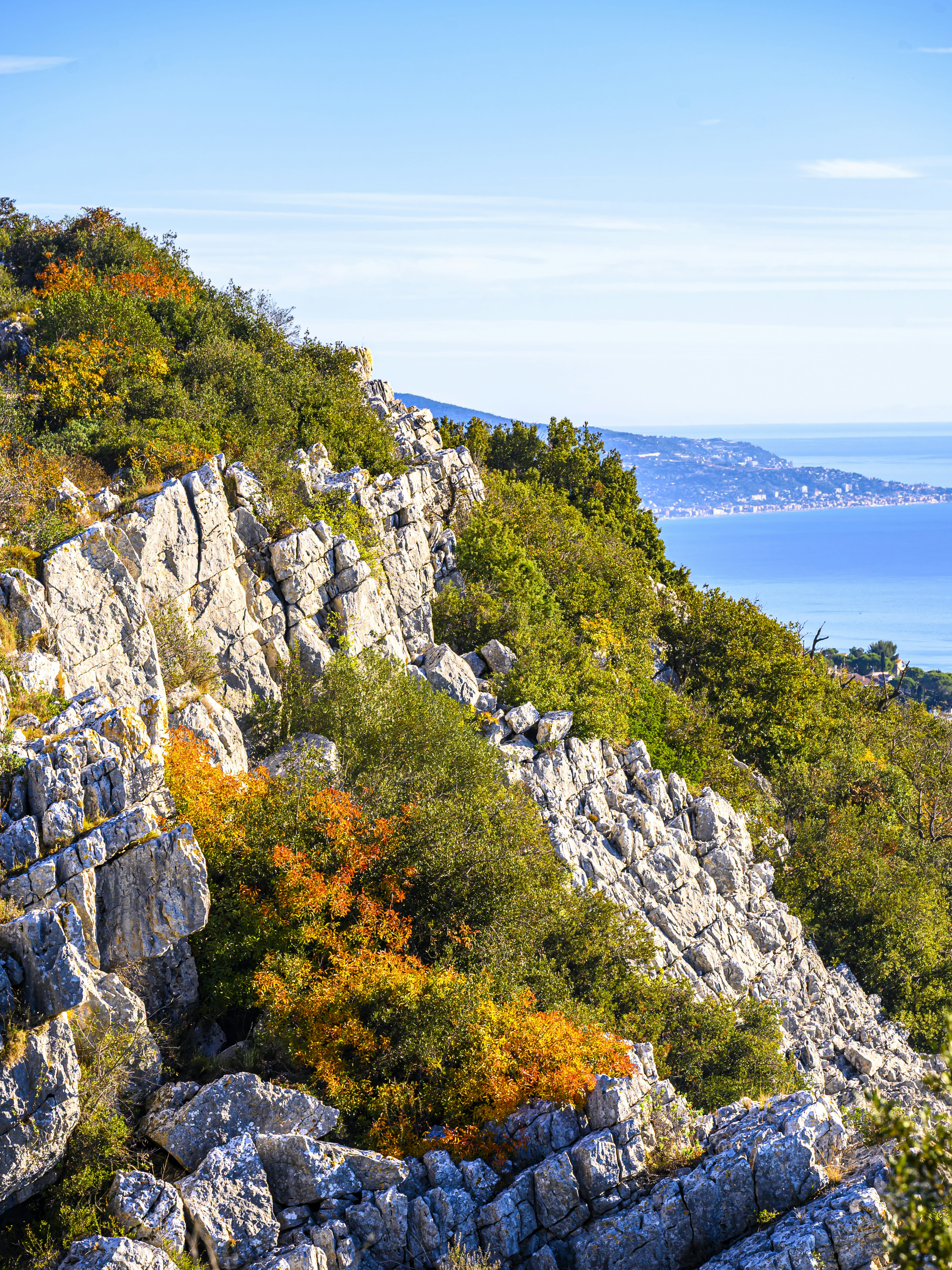 Autumn on the Seaward Ridge: Craggy Cliff Above a Blue Expanse