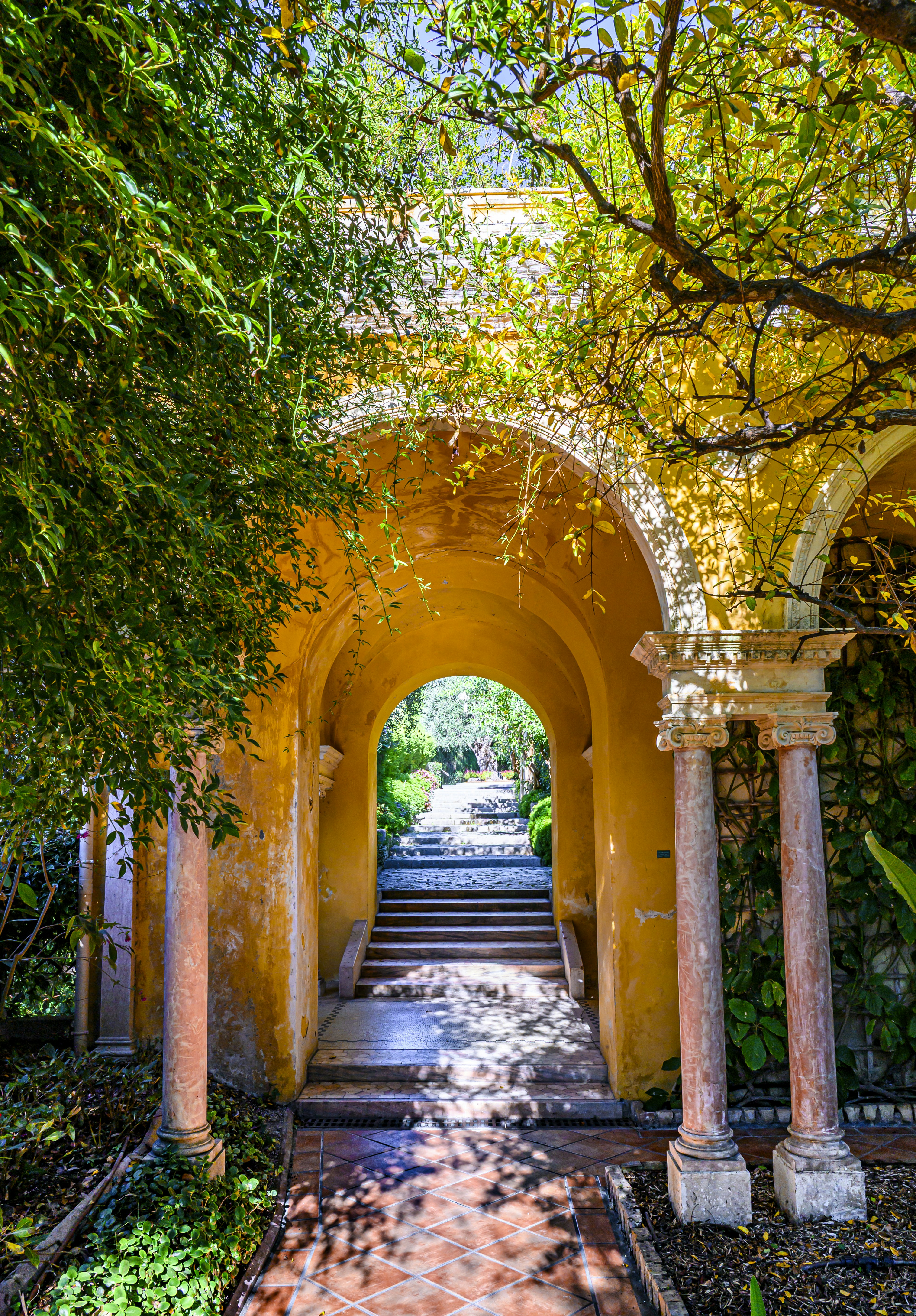 Photo by Philippe BONTEMPS with Nikon Z6 III