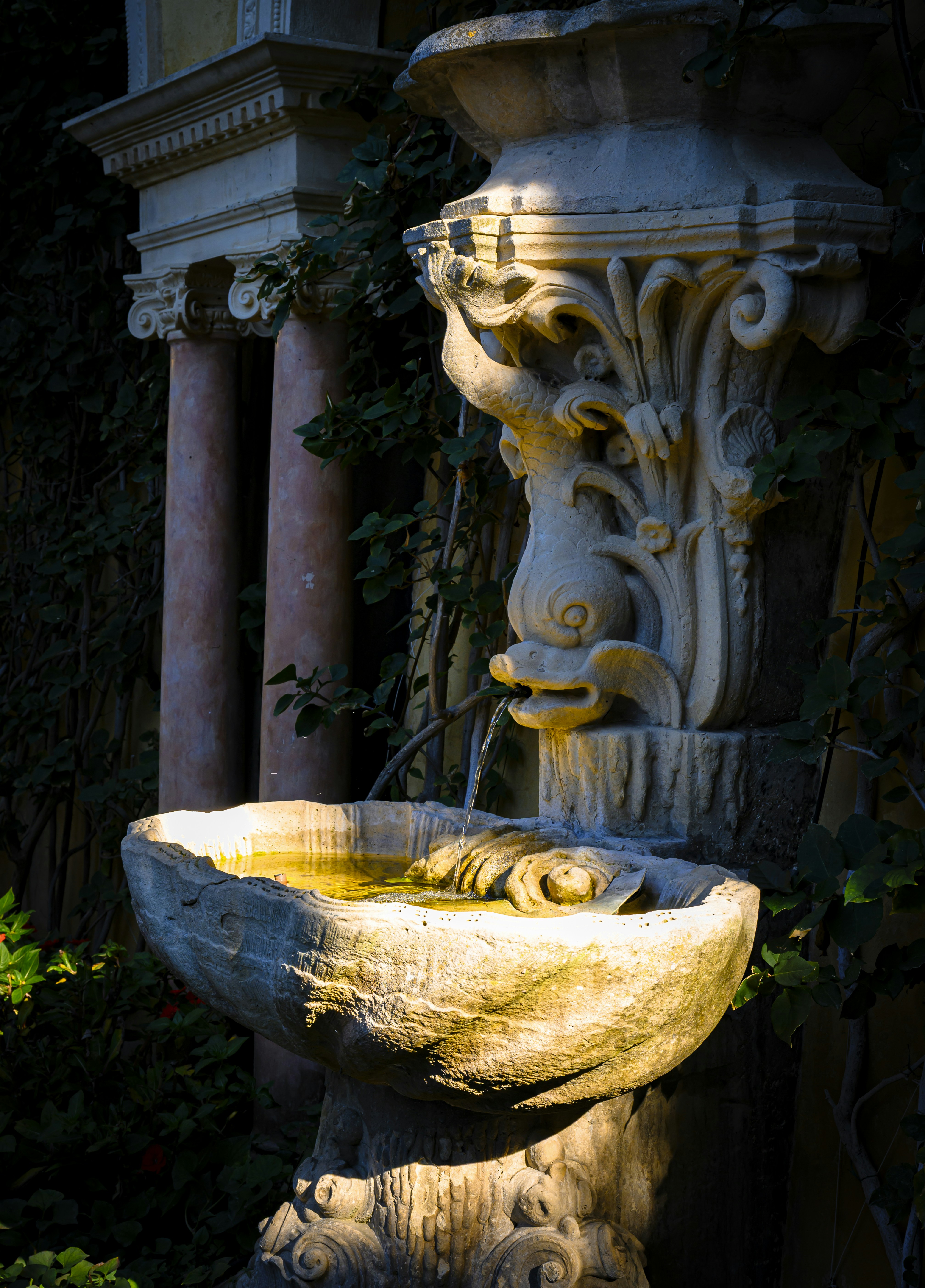 Photo by Philippe BONTEMPS with Nikon Z6 III