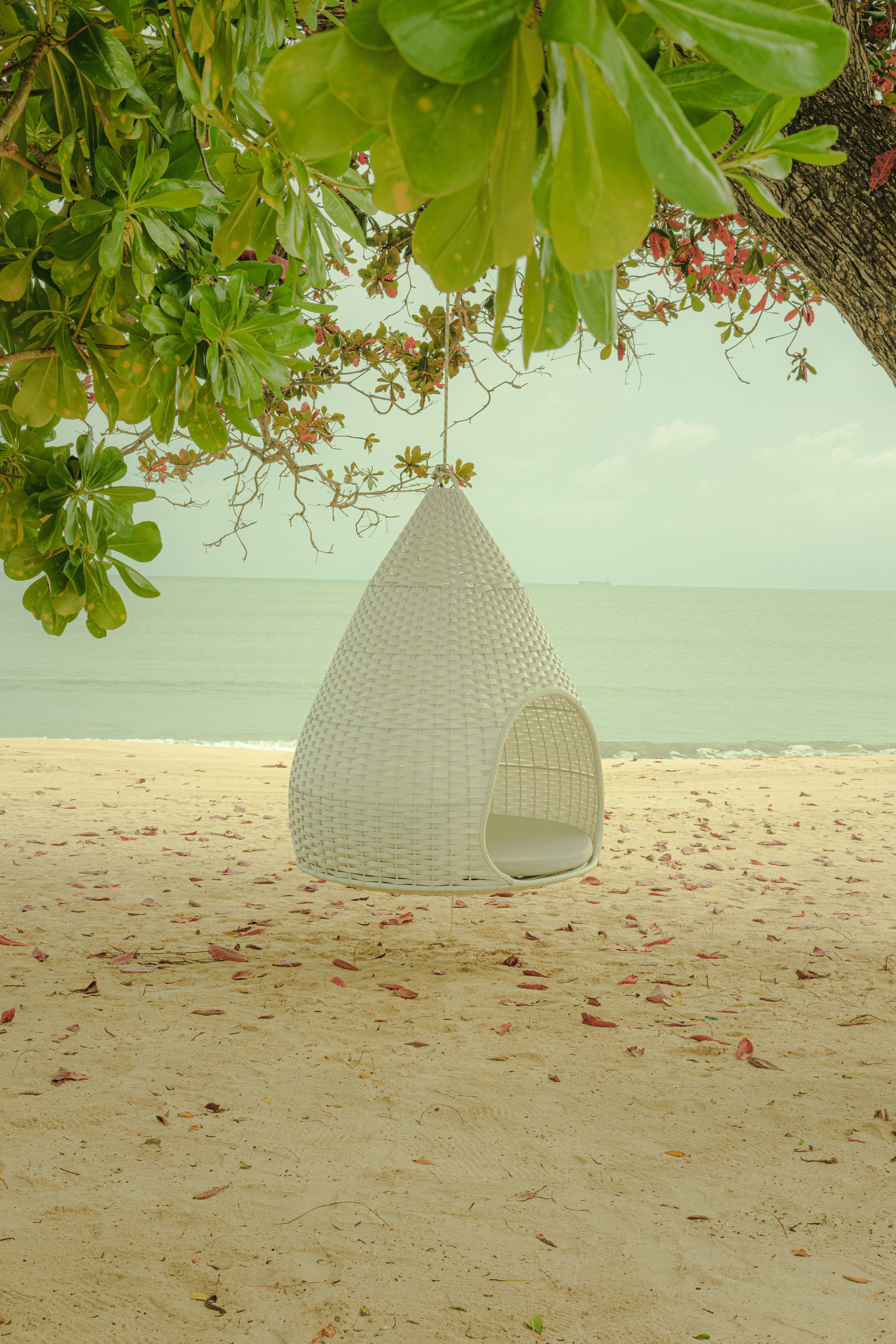 Wicker Cocoon on a Sunlit Shore Under Green Canopy