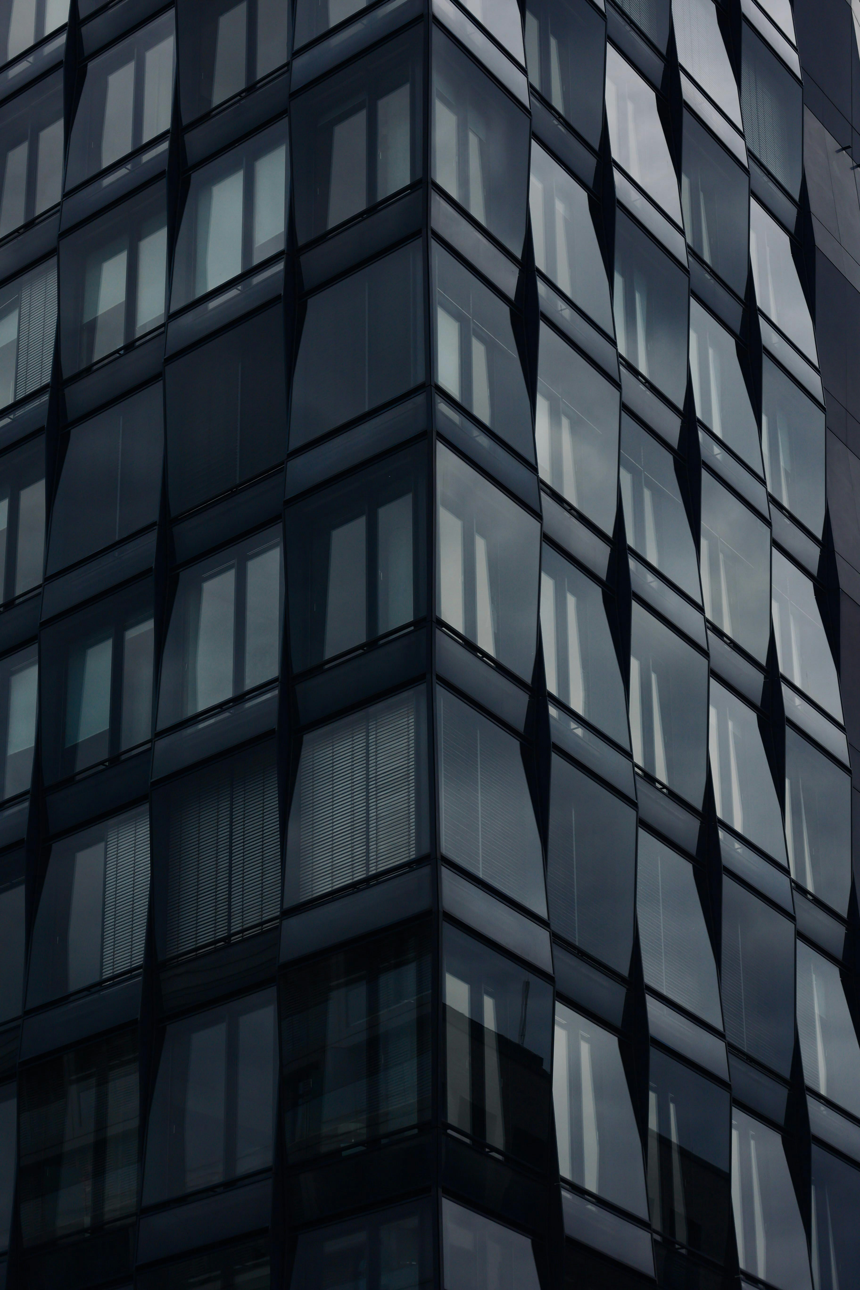 Photo by Aimar Gallardo with Canon EOS R6