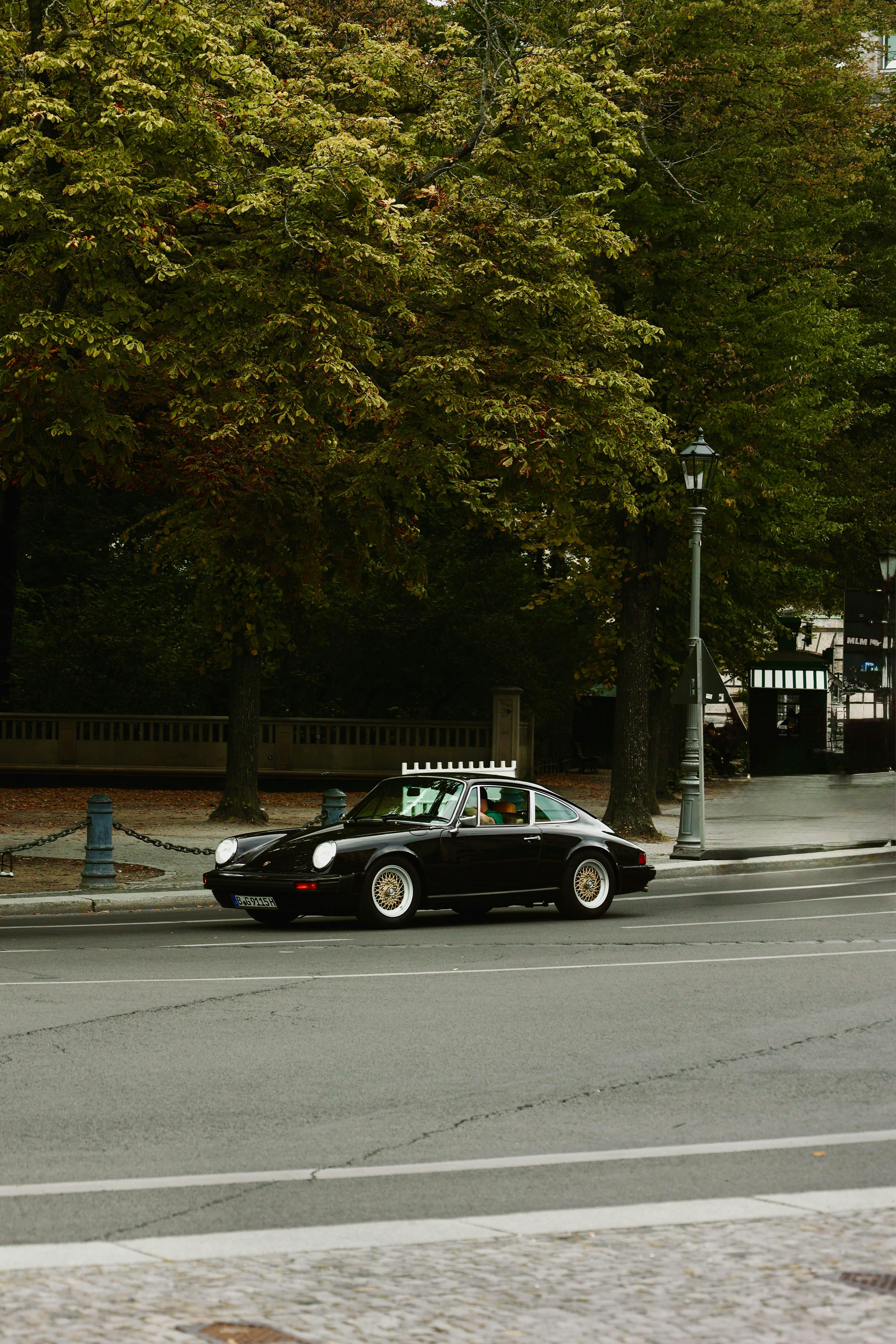 Photo by Aimar Gallardo with Canon EOS R6